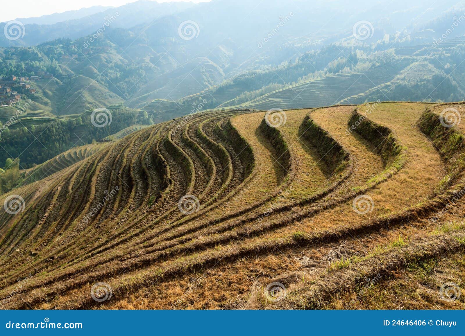 Beautiful Terraced Fields Scenery Stock Photo - Image of curves ...