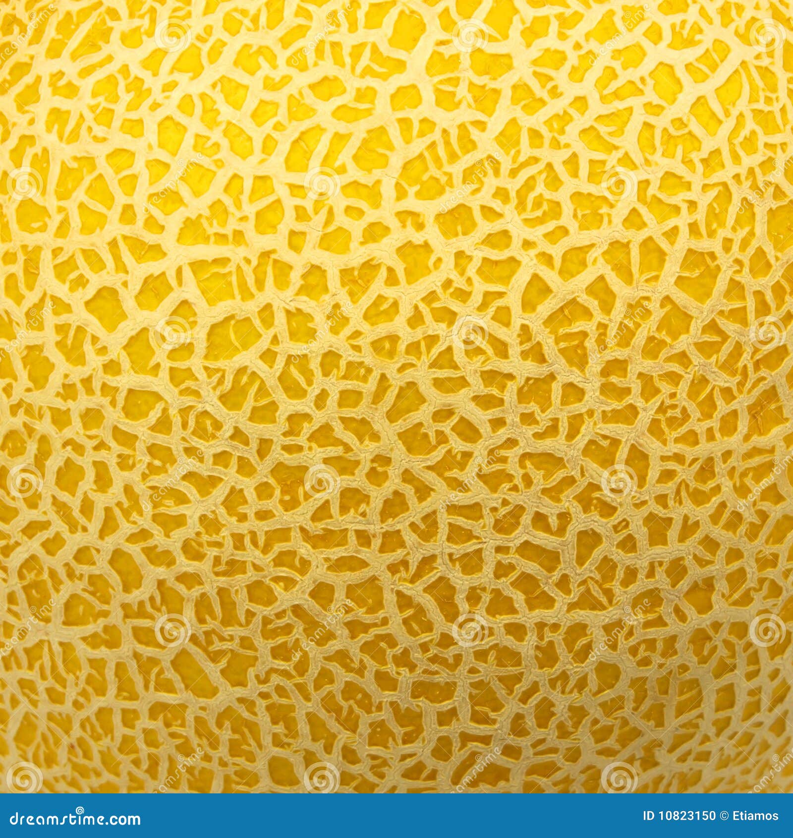 Beautiful texture stock photo. Image of abstract, seasonal - 10823150