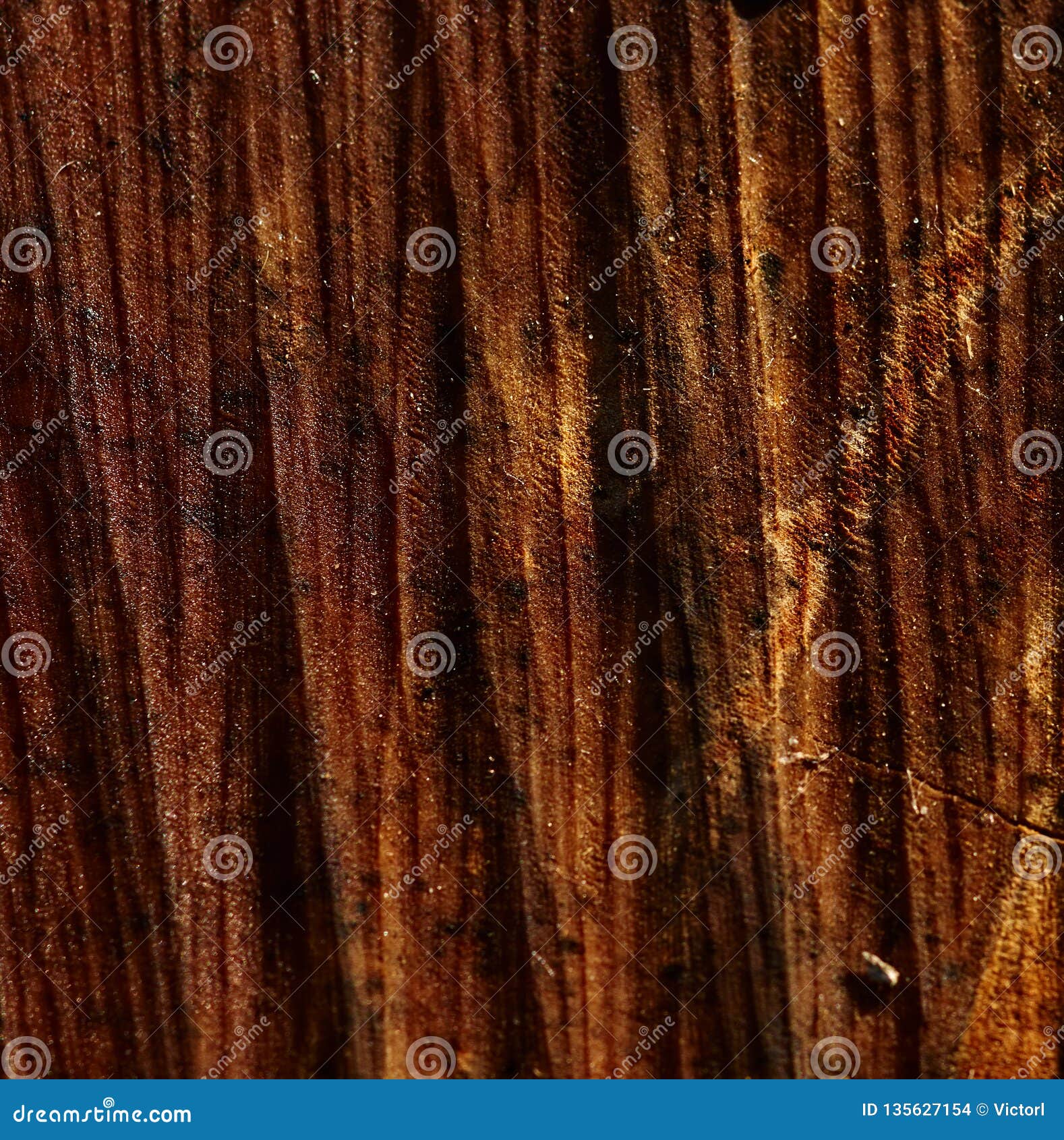 Texture & X22;Apple Tree& X22;. Background Naturale Stock Photo - Image ...