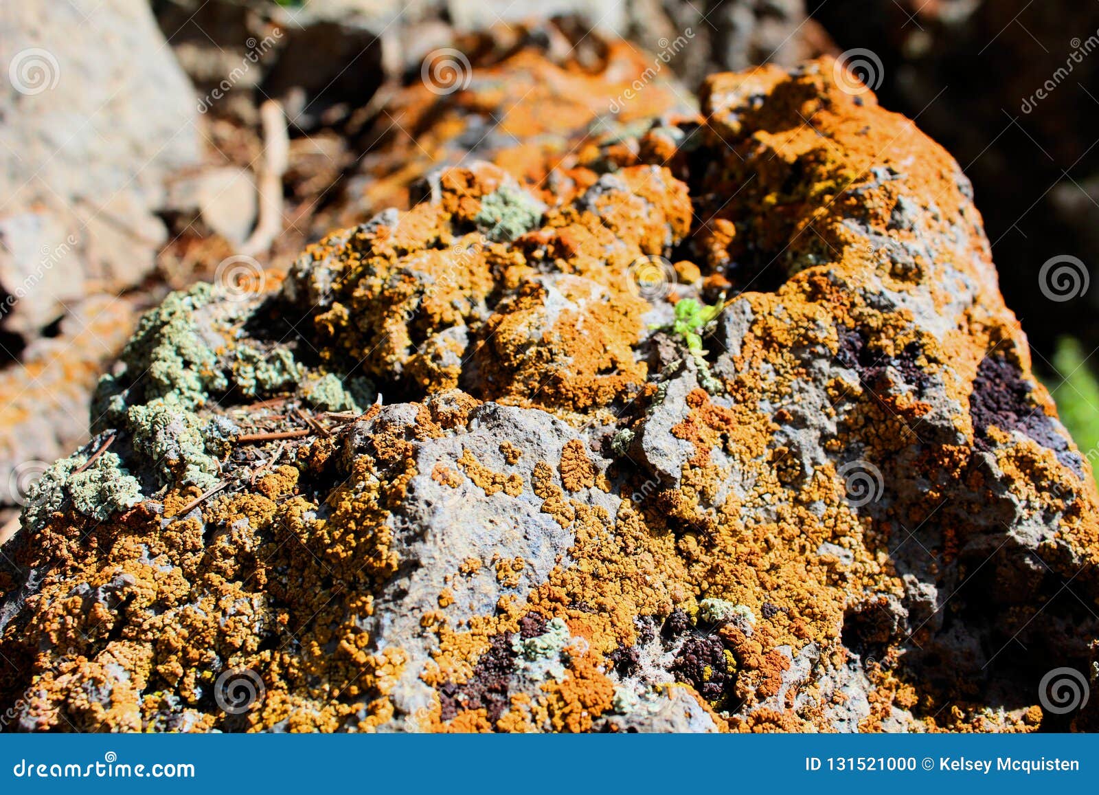 Beautiful Texture or Background Image Stock Photo - Image of detail ...