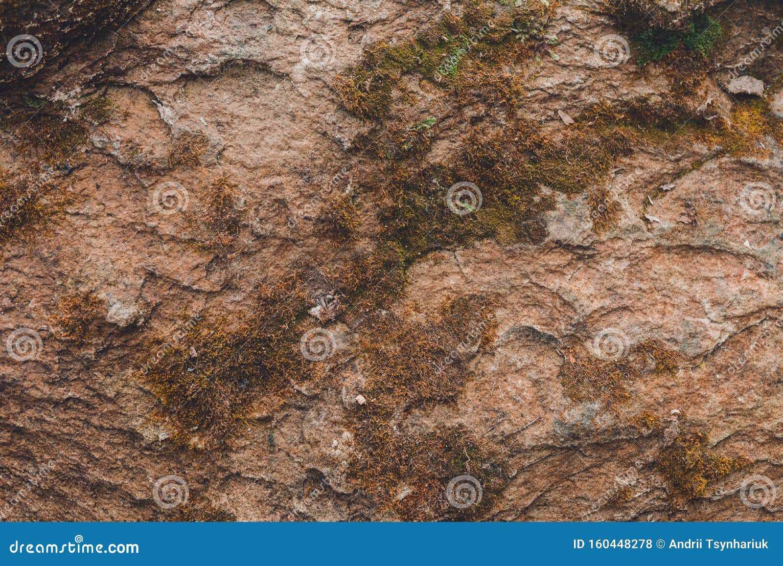 Beautiful Texture of Large Moss Covered Stone Stock Photo - Image of ...
