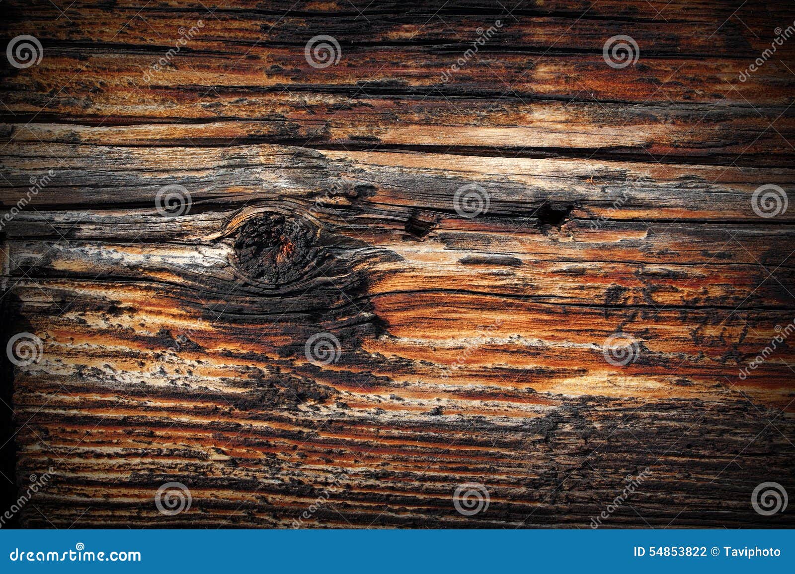 Beautiful Texture of Old Spruce Plank Stock Photo - Image of knot, pine ...