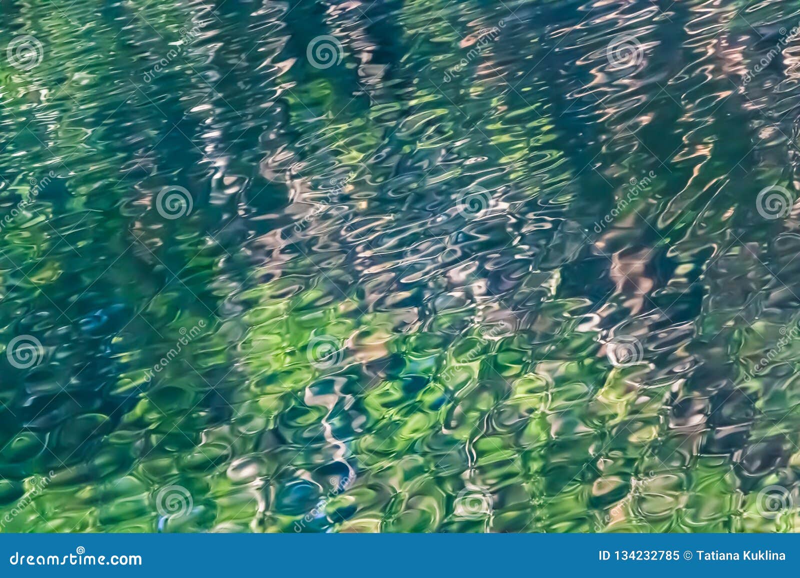 A Beautiful Texture of a Pond with Reflections of Green Trees and a ...