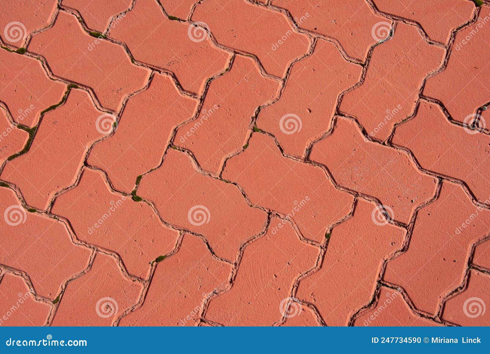 Texture of red stone stock photo. Image of summer, textured - 247734590