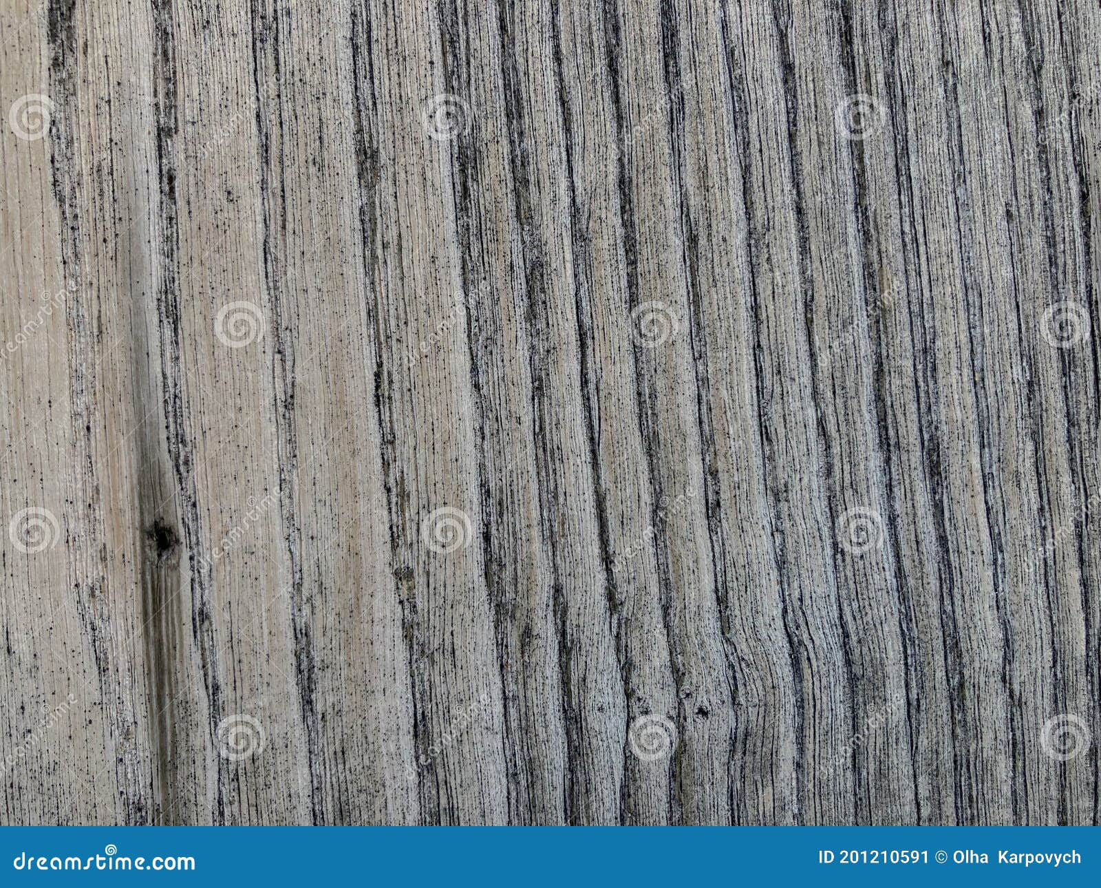 Beautiful Texture of Wood on a Table or Door. Old Gray Tree Stock Image ...