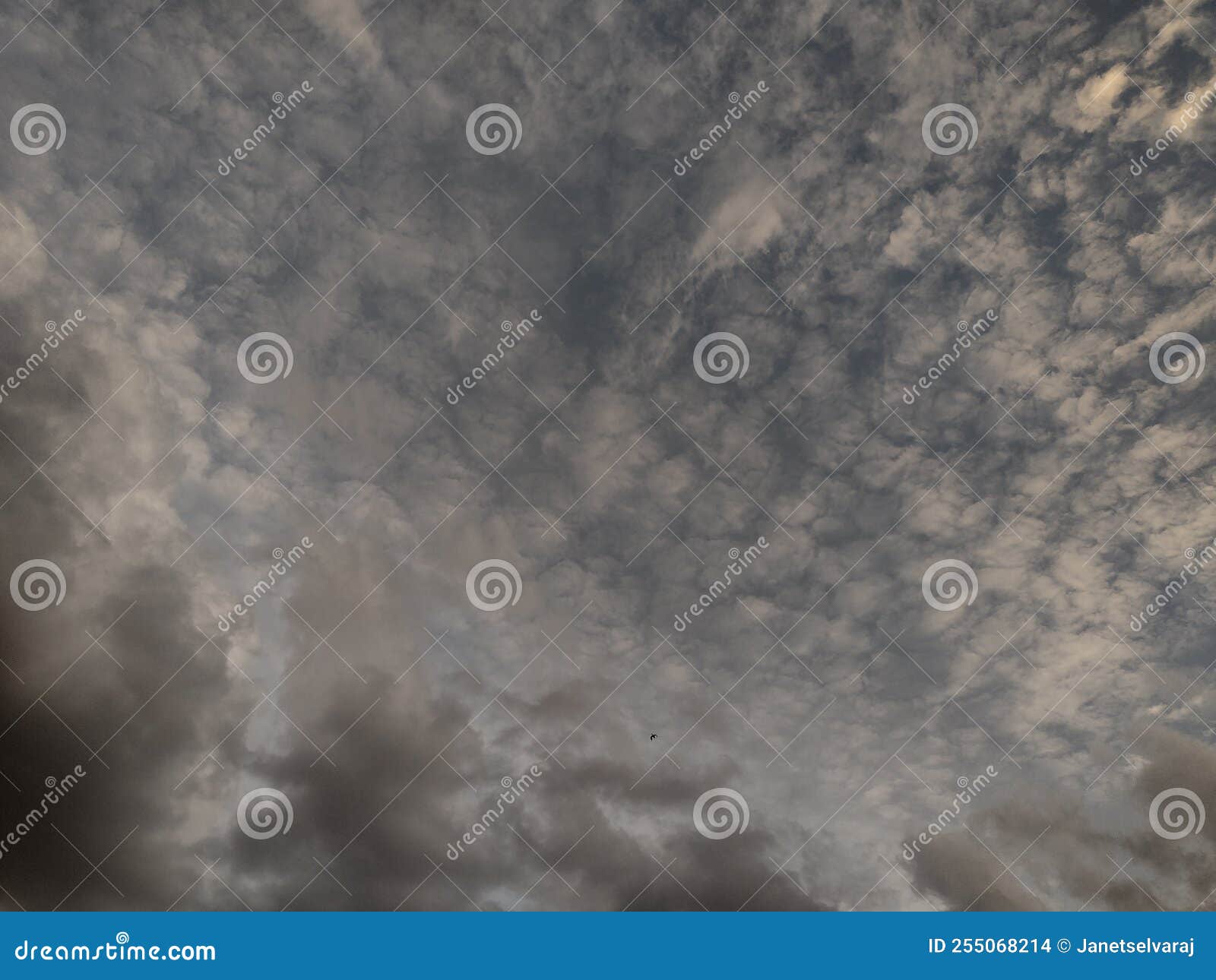 Beautiful Textured Snowy Clouds on the Sky Stock Photo - Image of ...