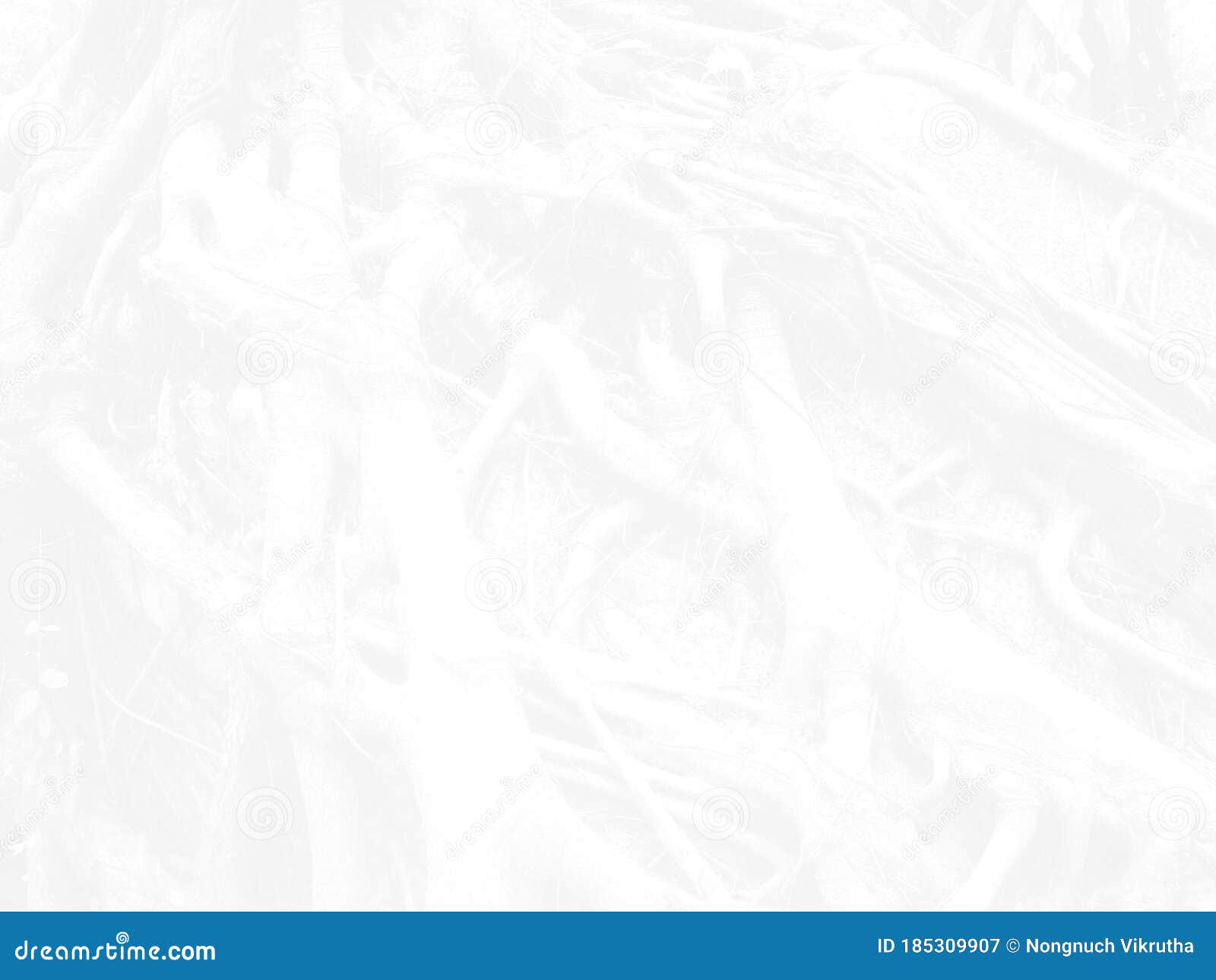 Beautiful Textures. White Wallpaper Stock Image - Image of luxury ...