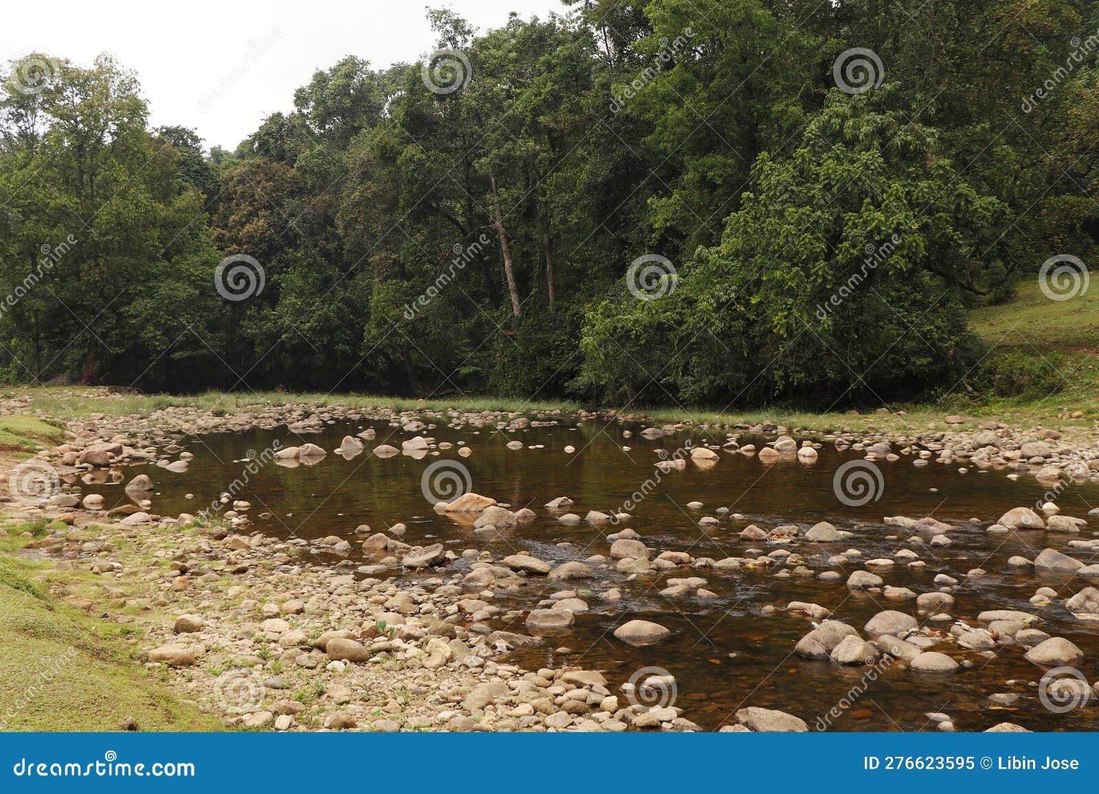 Beautiful Thick Forest and River with Pebble Stone in Kerala India ...