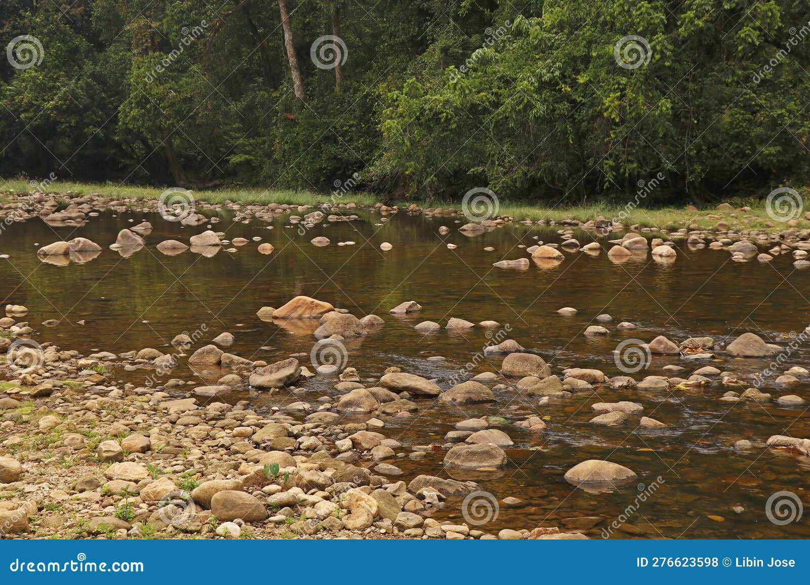 Beautiful Thick Forest and River with Pebble Stone in Kerala India ...