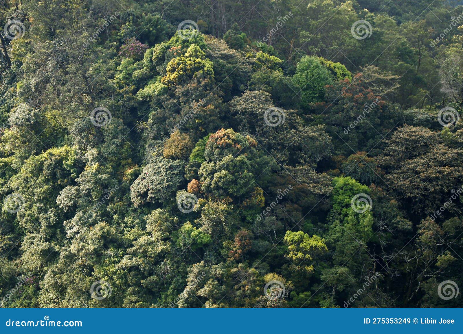 Beautiful Thick Moss On The Old Bridge. Overgrown Railing Royalty-Free ...