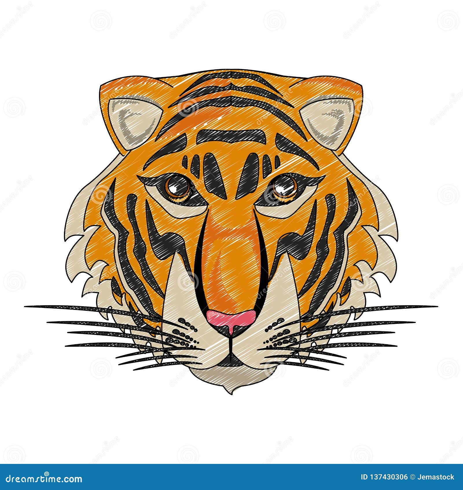 Beautiful Tiger Head Scribble Stock Vector - Illustration of wildcat ...