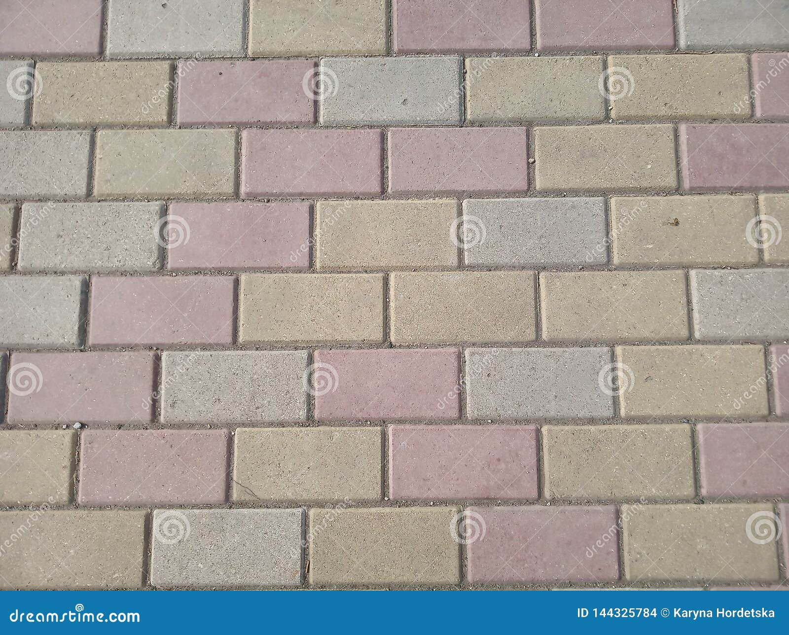 Beautiful Tile in Park in Spring on Sunny Day Stock Photo - Image of ...