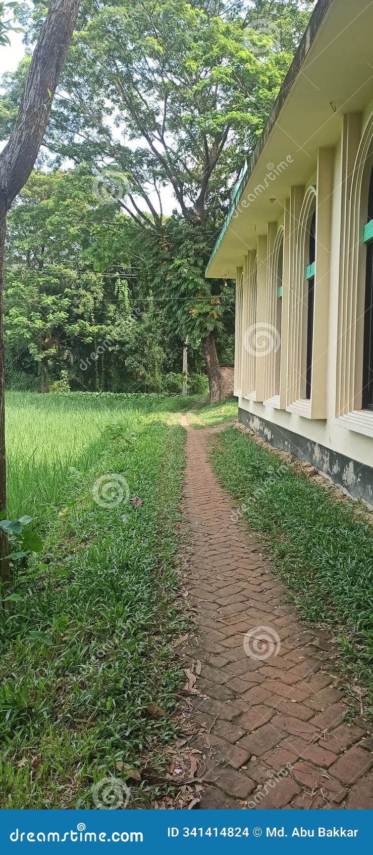 Tiny Village Pathway stock photo. Image of flower, grass - 341414824