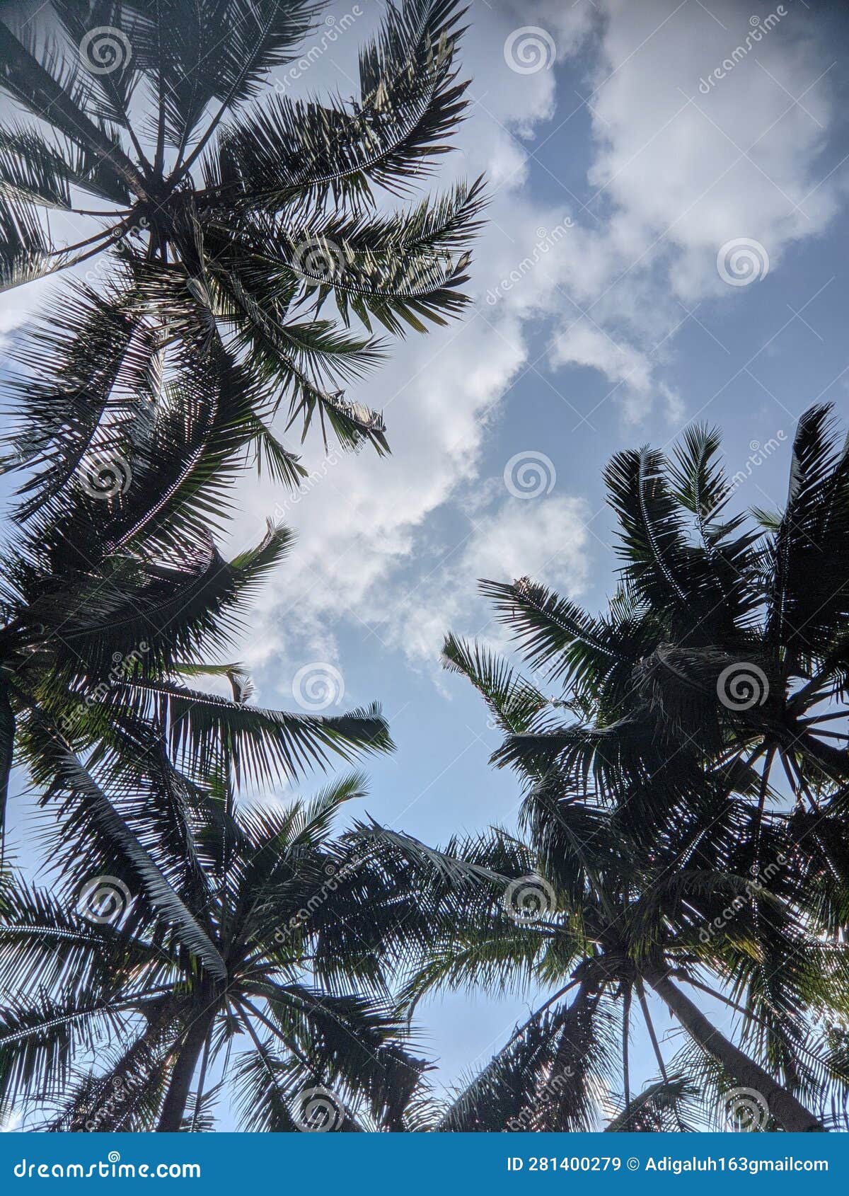 Beautiful Today Can Relax for a Moment Under a Coconut Tree Stock Image ...