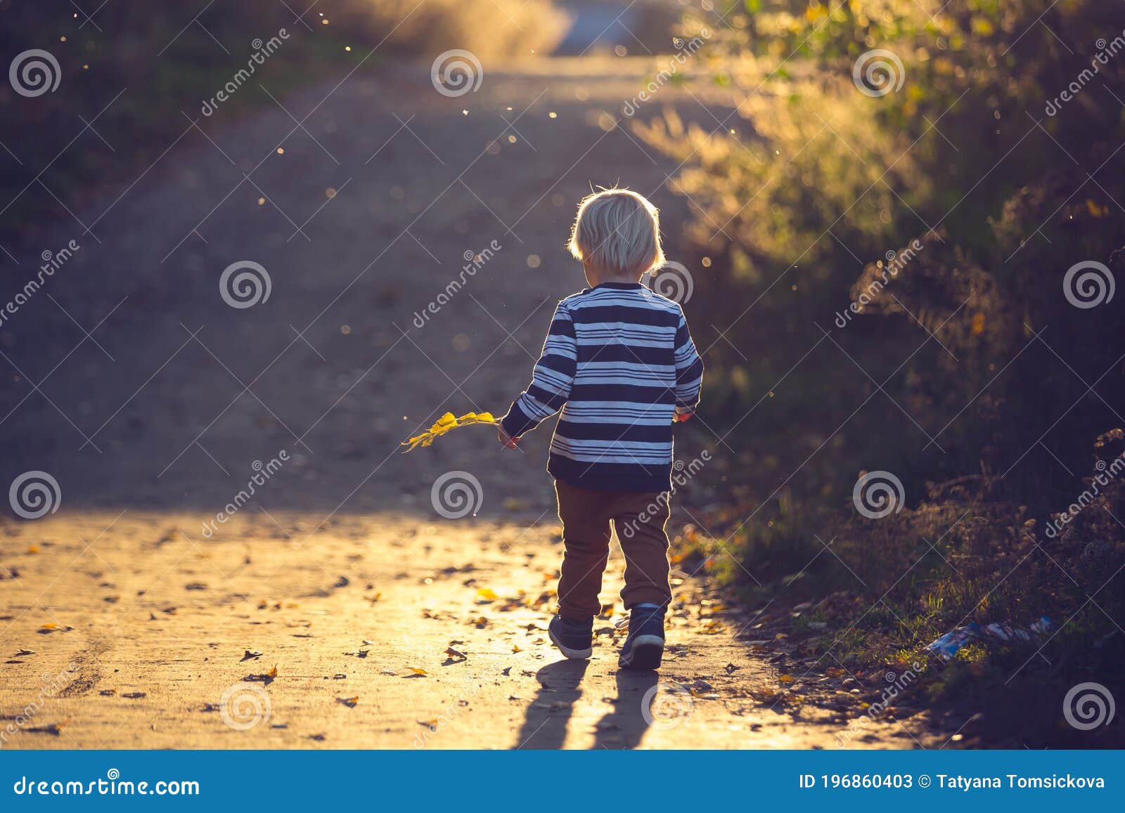 Beautiful Toddler Boy, Walking on Rural Path on Sunset, Backlit Stock ...