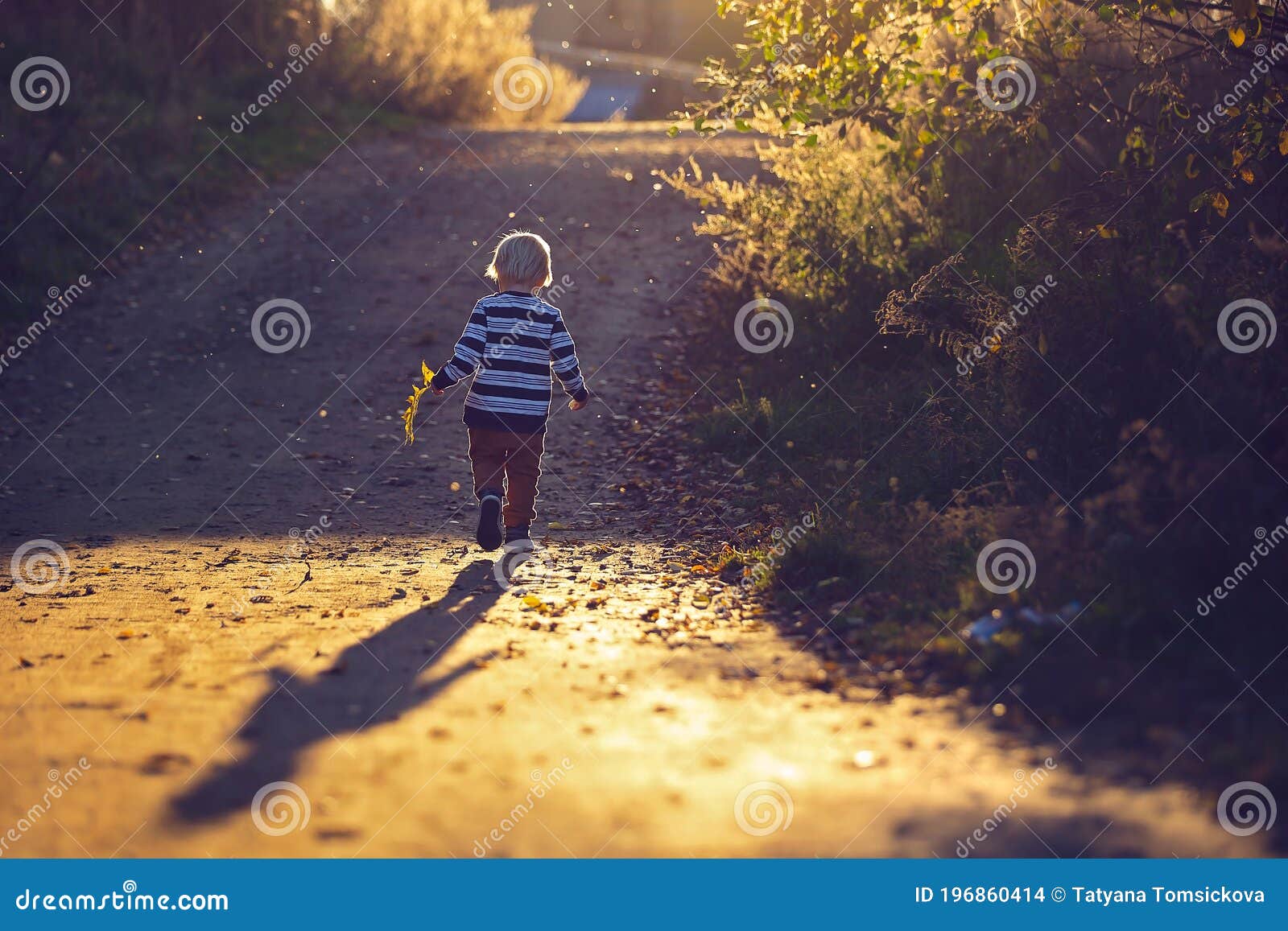Beautiful Toddler Boy, Walking on Rural Path on Sunset, Backlit Stock ...