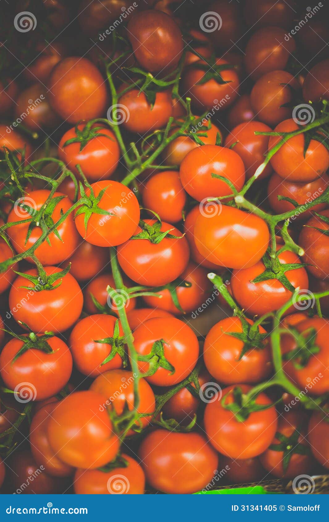 Beautiful tomatoes stock image. Image of clean, nutrient - 31341405
