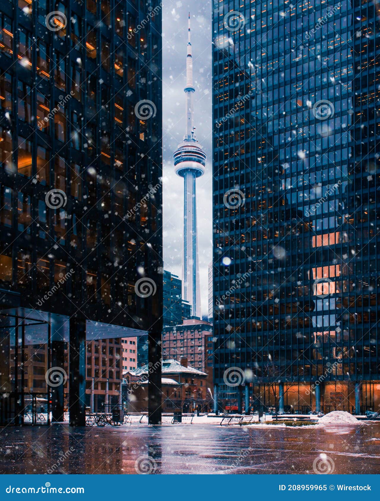 Toronto Cn Tower Park And Buildings Editorial Photo | CartoonDealer.com ...