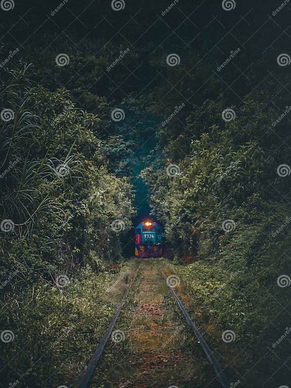 A beautiful train shot stock photo. Image of beautiful - 275950922