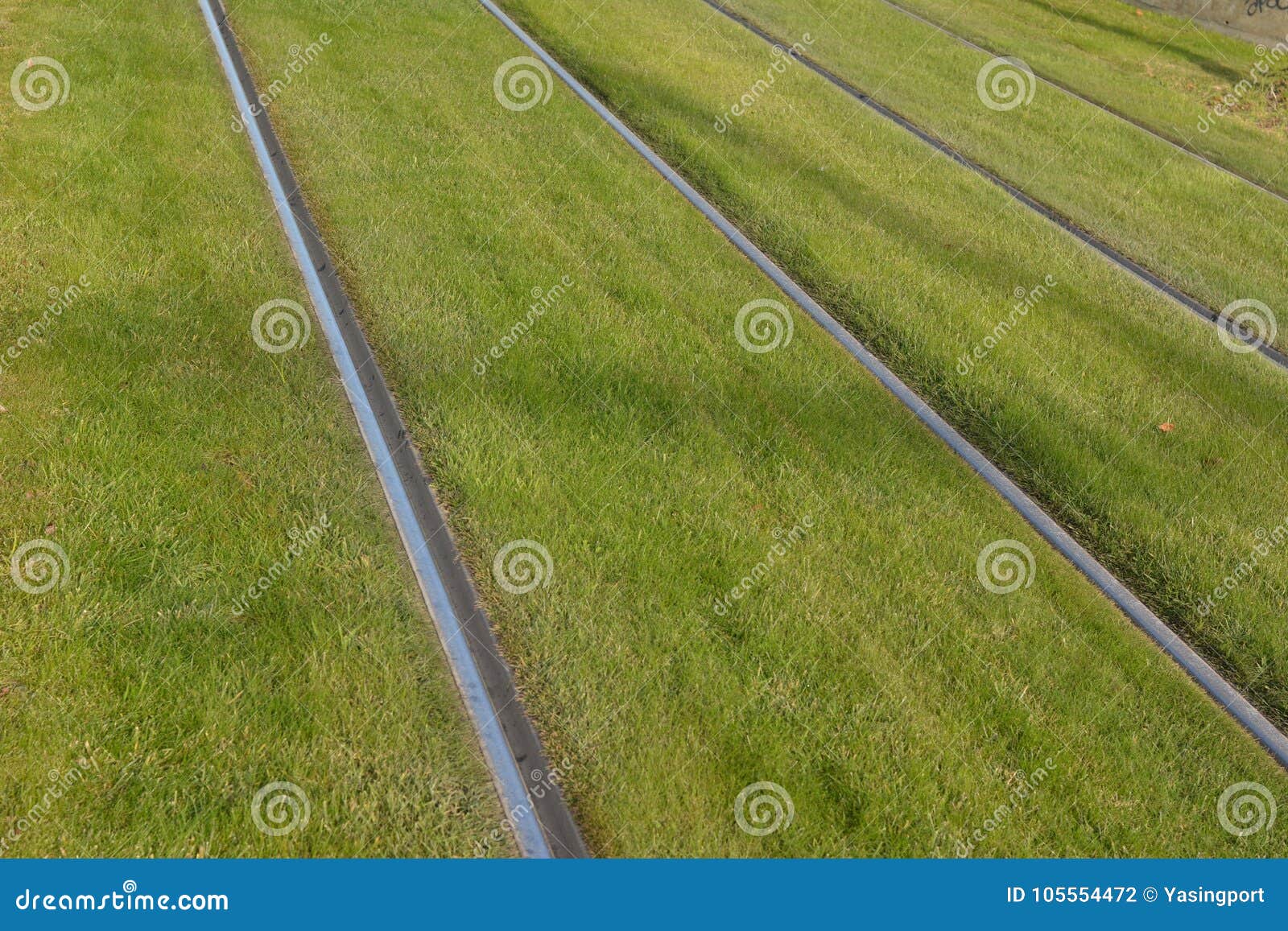 Beautiful Tram Rails Green Grass Way Stock Photo - Image of botany ...