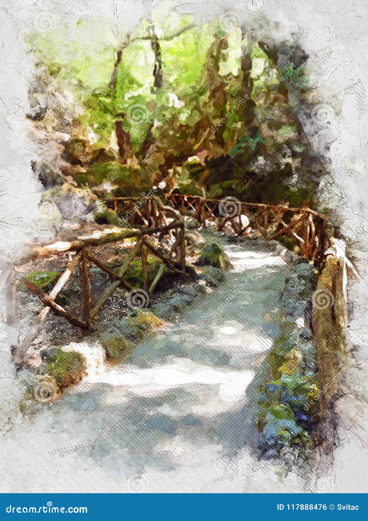 Tranquil Forest Path stock photo. Image of forest, environment - 117888476