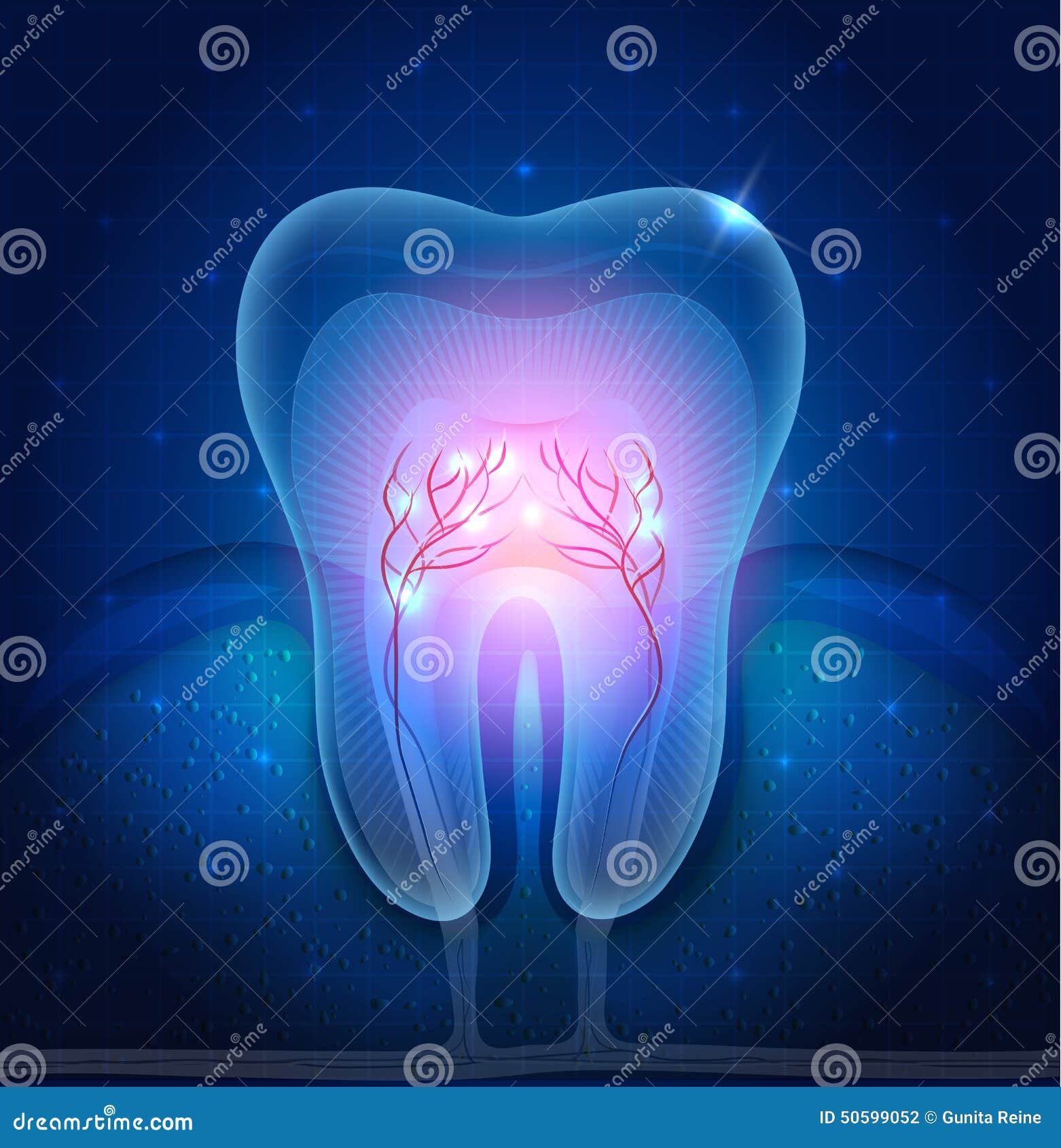 Beautiful Transparent Tooth Illustration Stock Vector - Illustration of ...