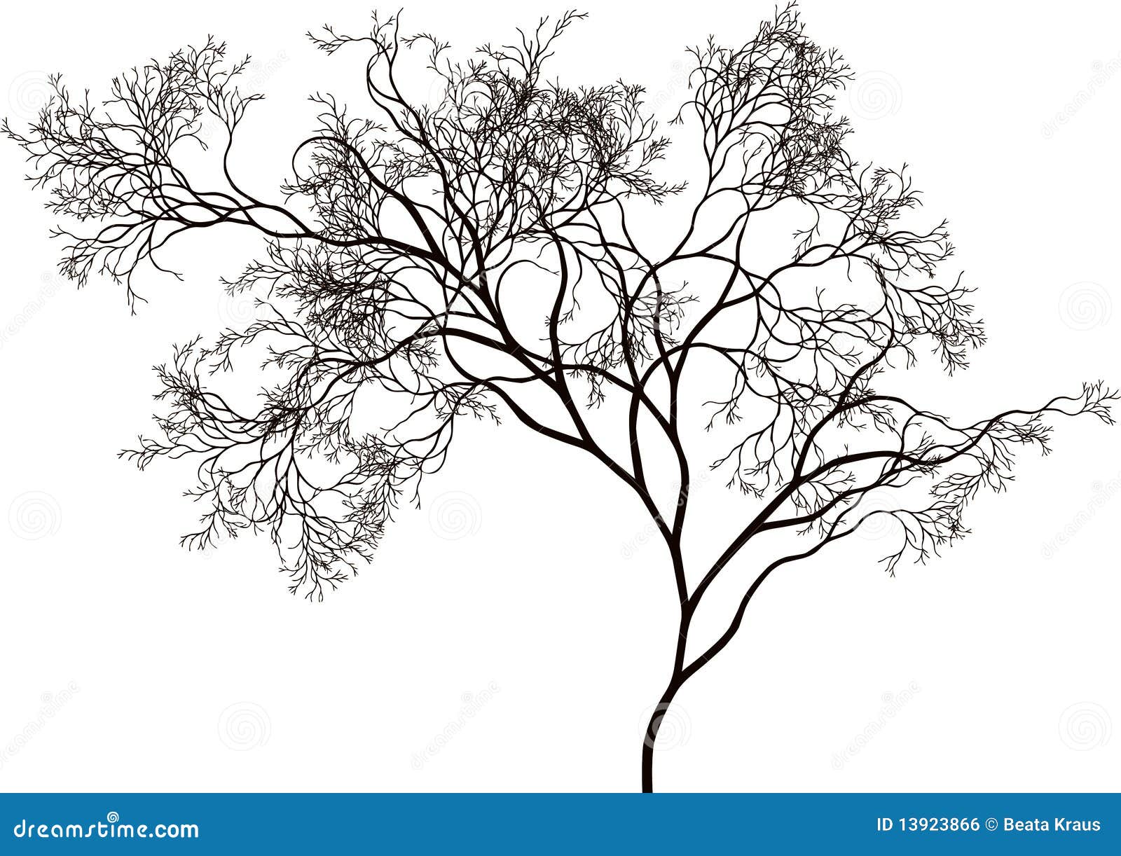 Beautiful tree stock vector. Illustration of botany, growth - 13923866