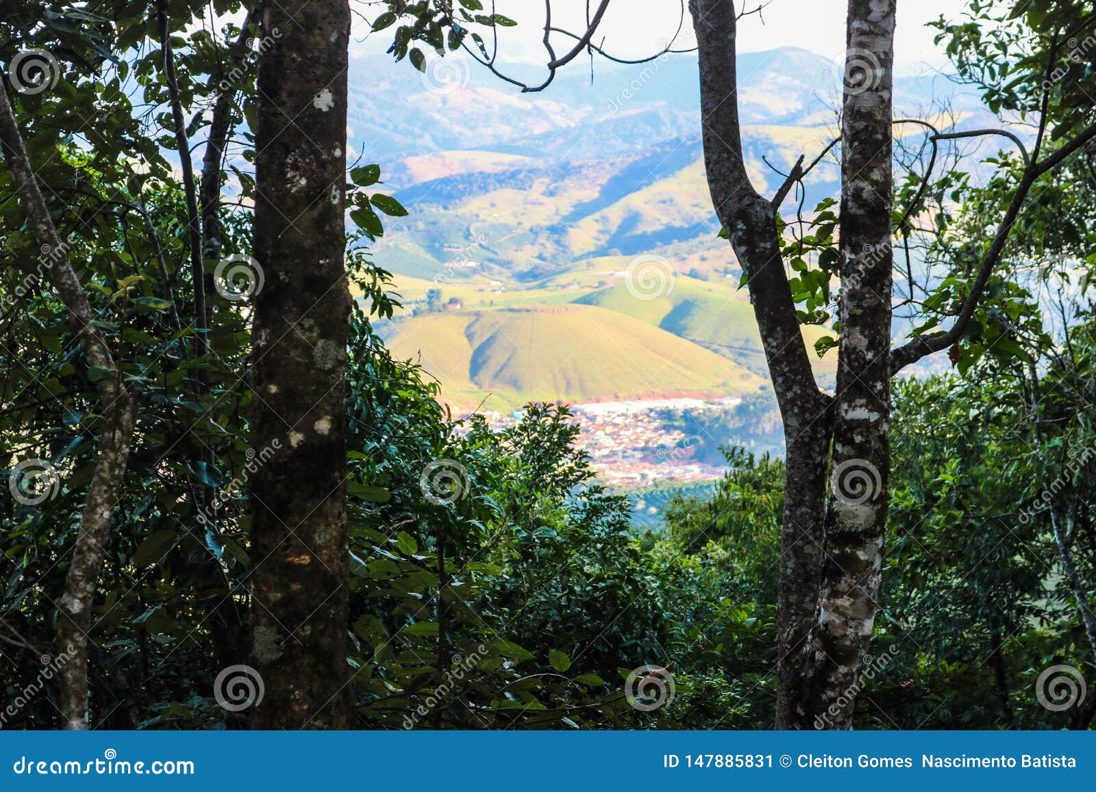 A Beautiful Tree, Blessed by God. Stock Image - Image of blessed ...