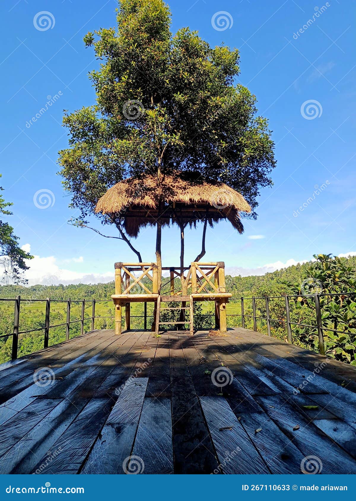 Beautiful Tree House after Rain Stock Image - Image of cinematic, epic ...