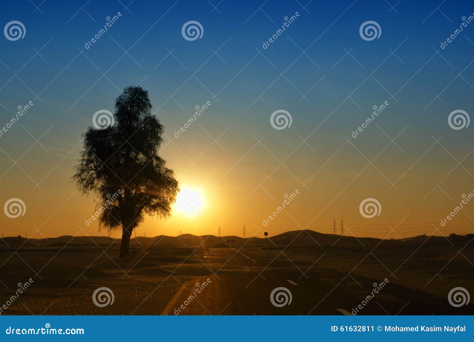 Beautiful Tree Landscape in Dubai Desert Stock Image - Image of desert ...