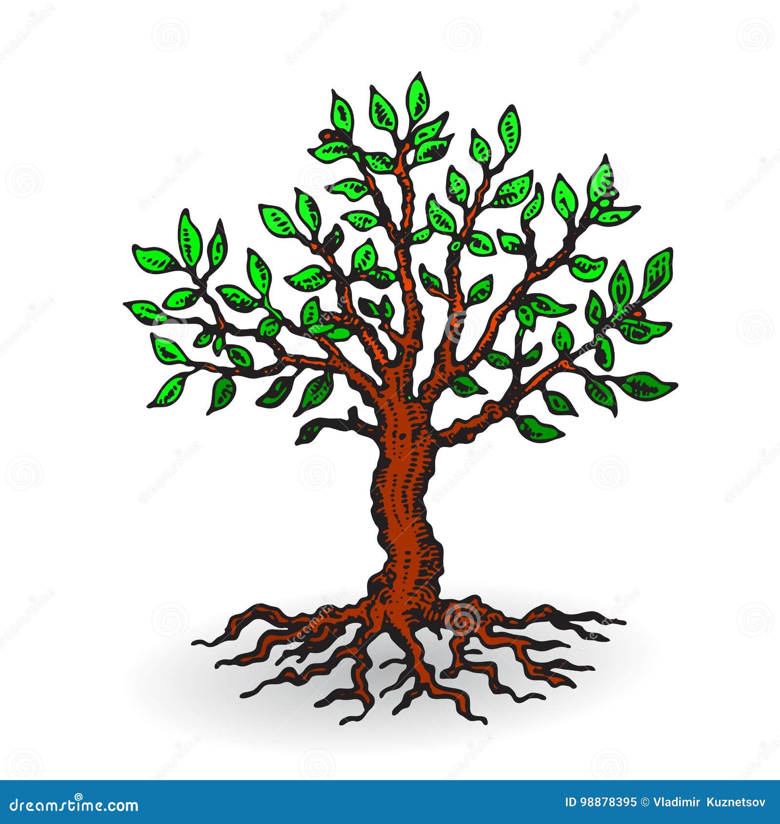 Beautiful Tree with Leaves, Cartoon on a White Background. Stock Vector ...