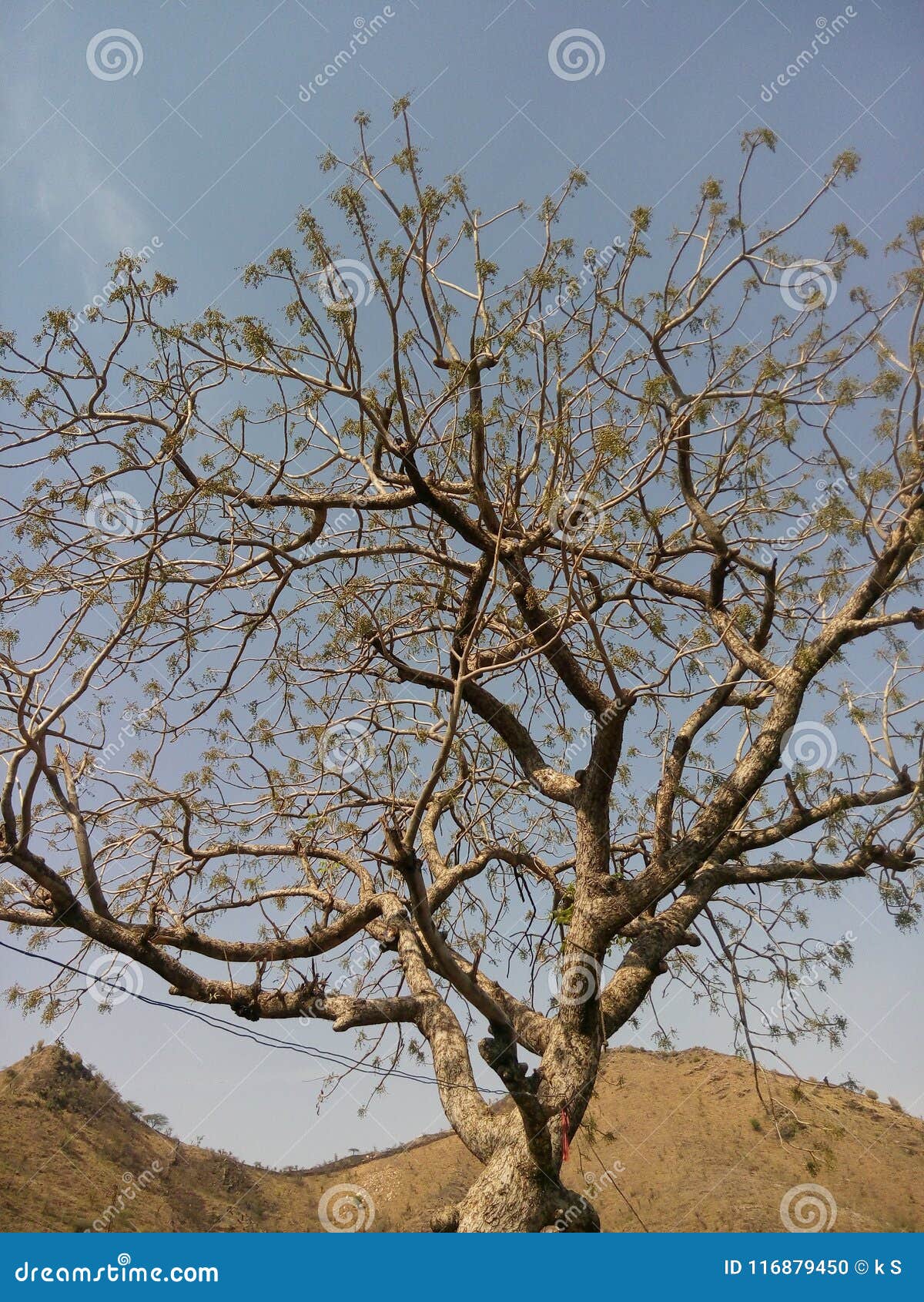 Dharti Stock Photos - Free & Royalty-Free Stock Photos from Dreamstime