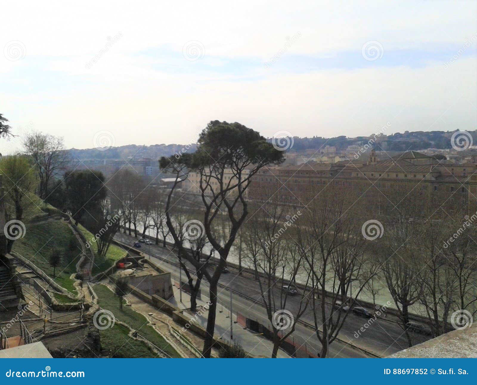 Beautiful Tree in Rome, Italy Stock Photo - Image of landmark, holiday ...