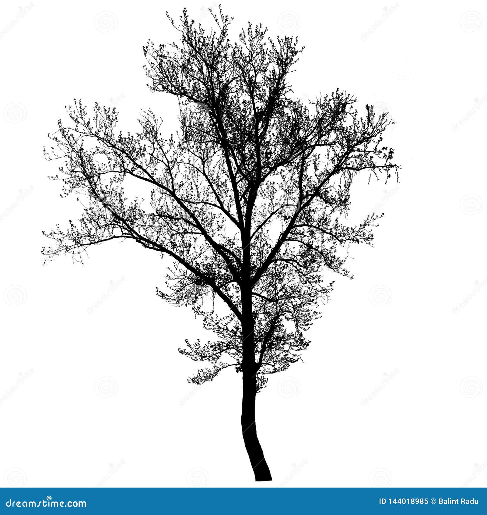 Beautiful Tree Silhouette Stock Illustrations – 61,044 Beautiful Tree ...