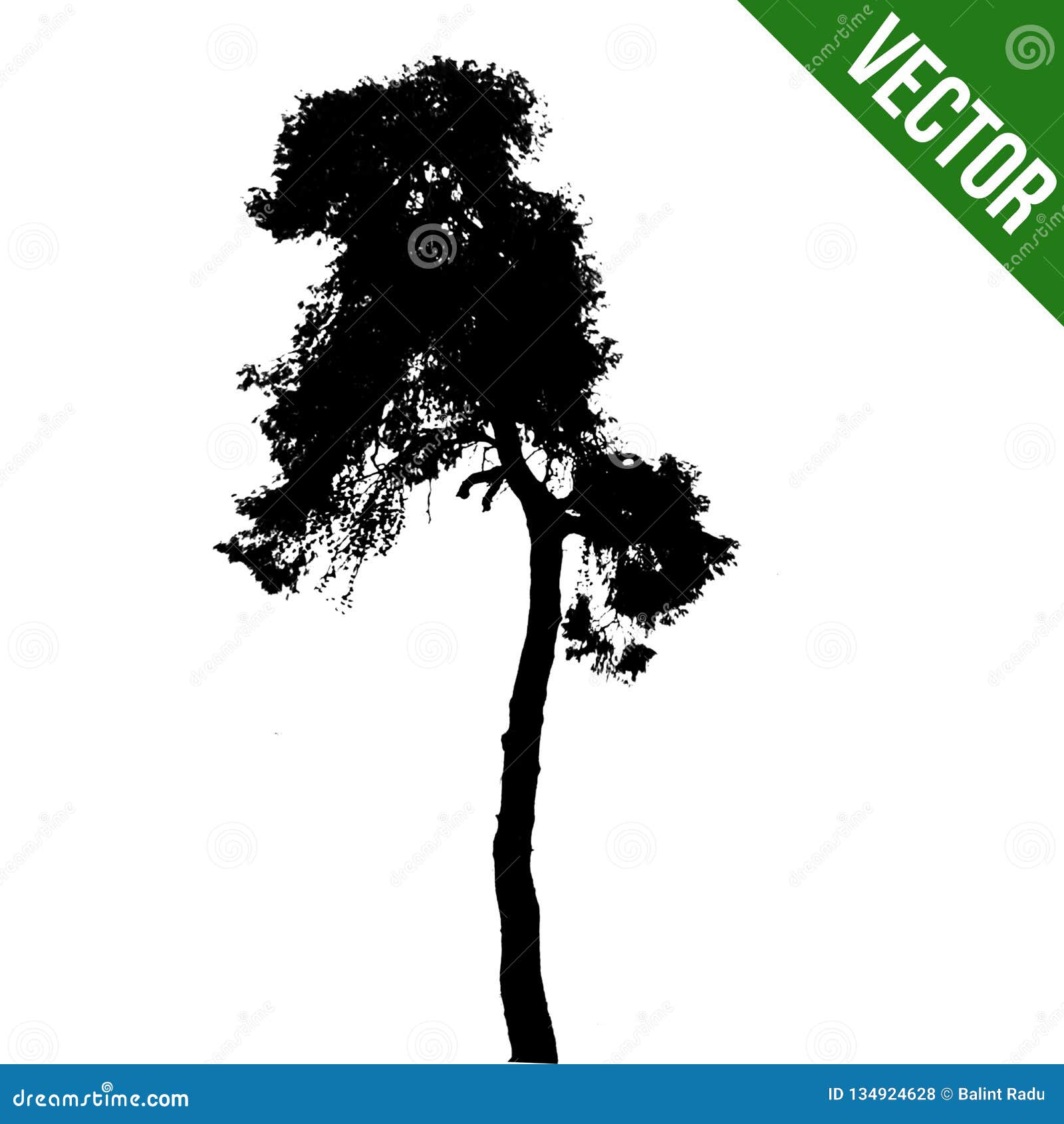 Beautiful Tree Silhouette Icon Stock Vector - Illustration of biology ...