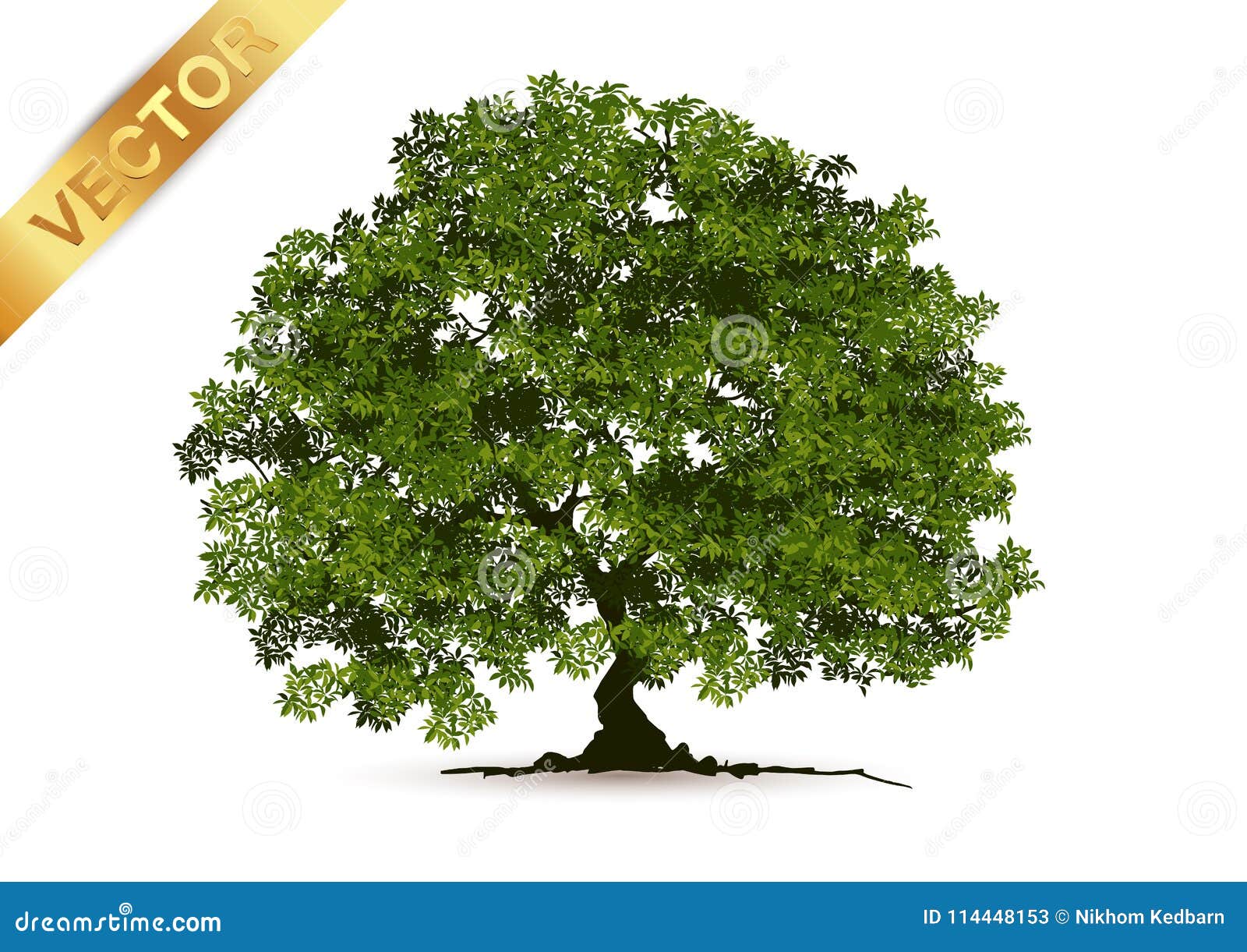 Beautiful Tree Vector on a White Background. Stock Vector ...