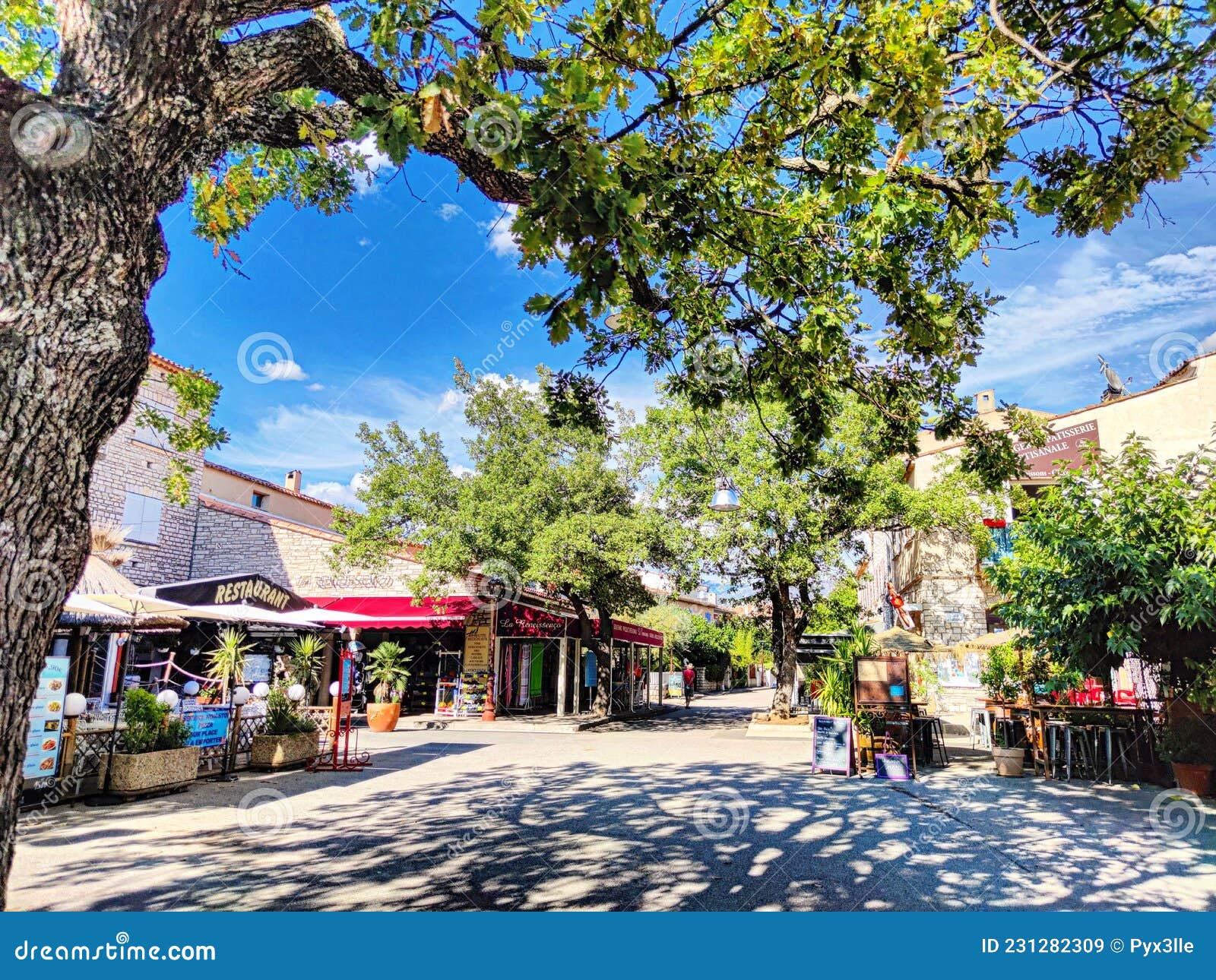 Beautiful tree in village editorial stock image. Image of vacation ...