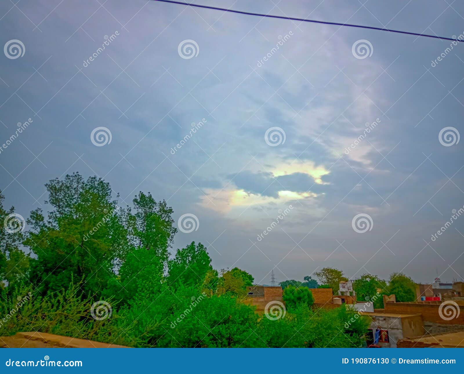 Beautiful Trees after Raining Stock Photo - Image of evening, meadow ...
