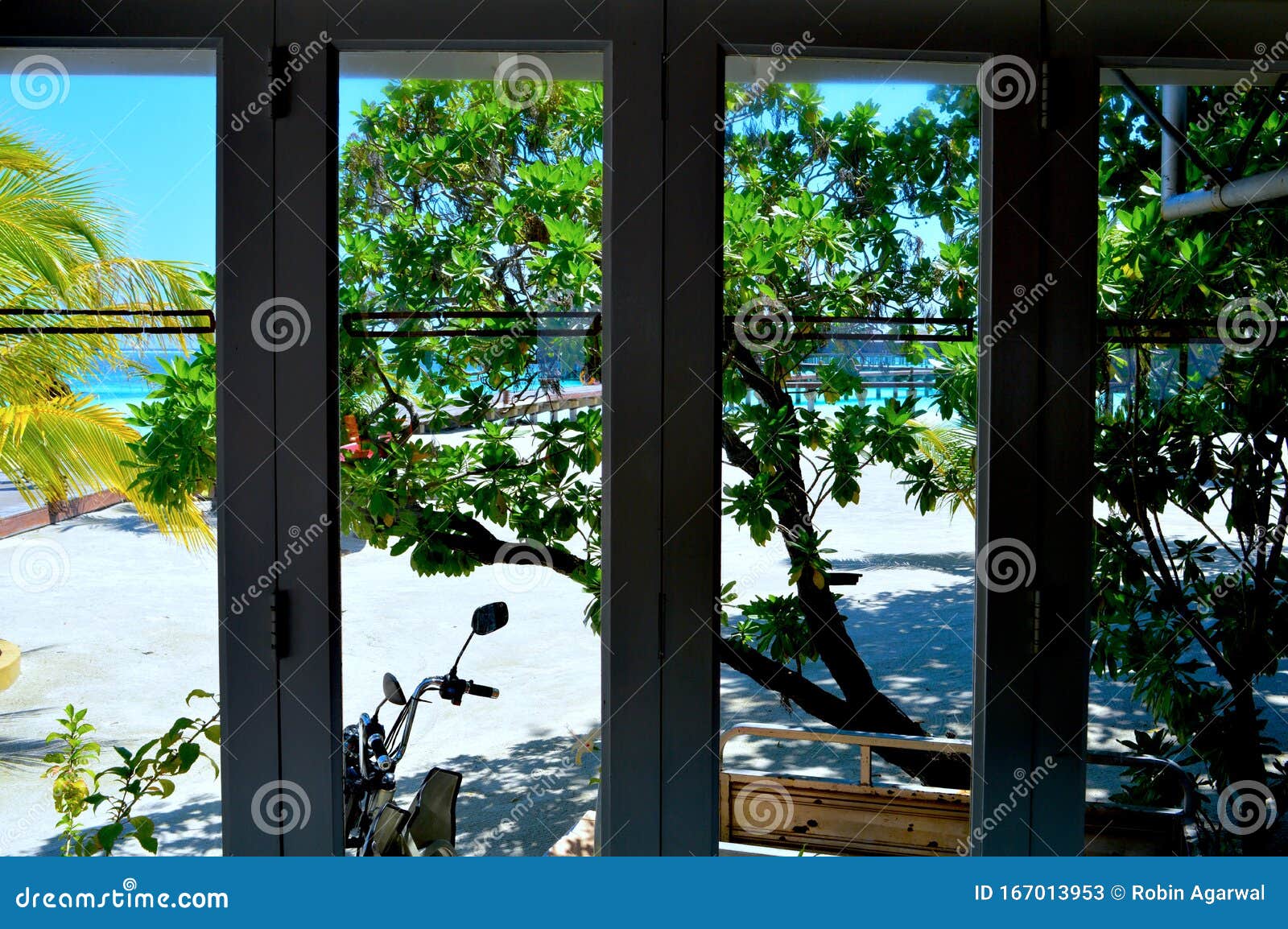 Beautiful View through the Window Eye Stock Image - Image of gould ...