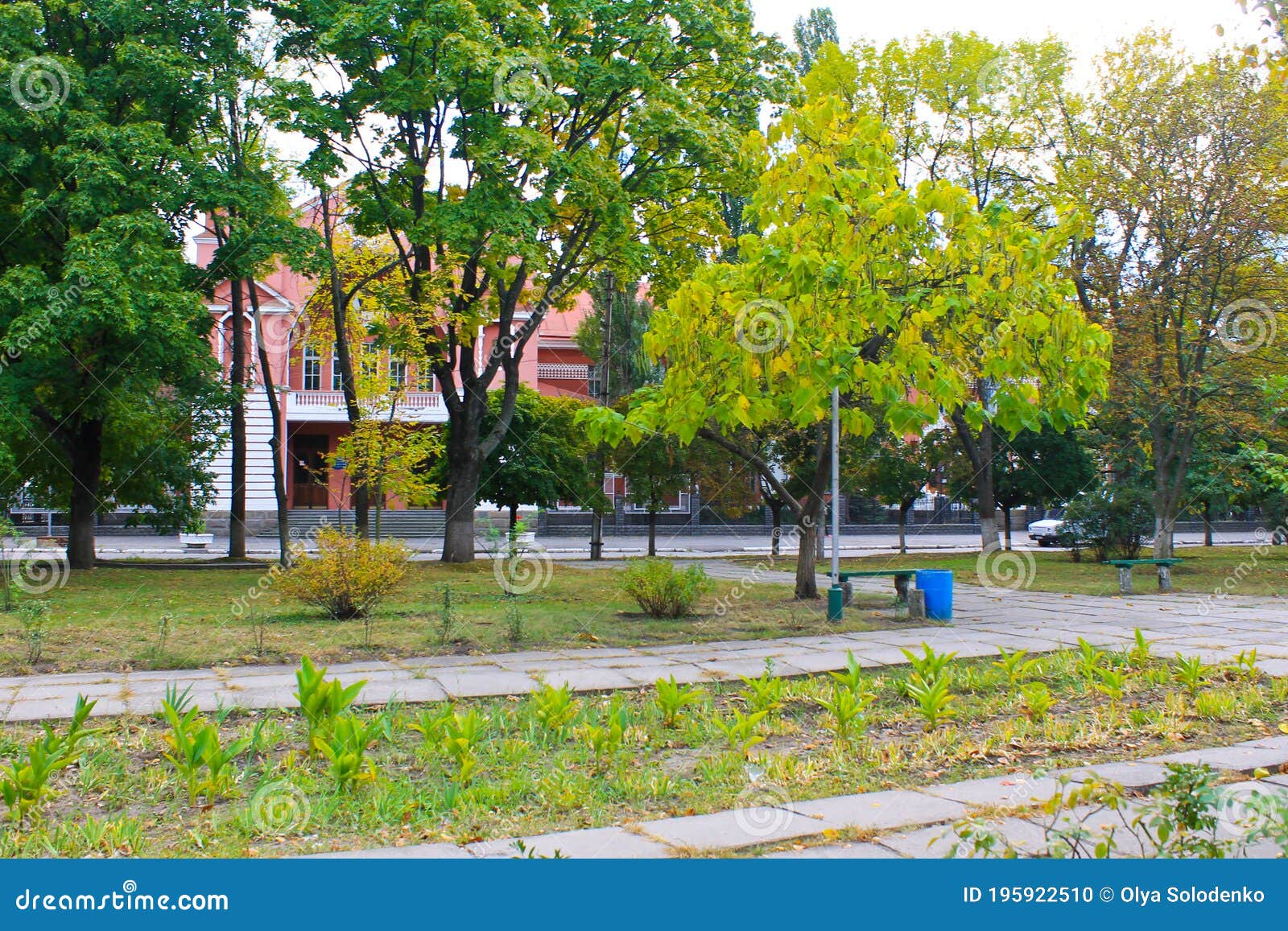 Beautiful Trees in City Park Stock Photo - Image of leaf, garden: 195922510