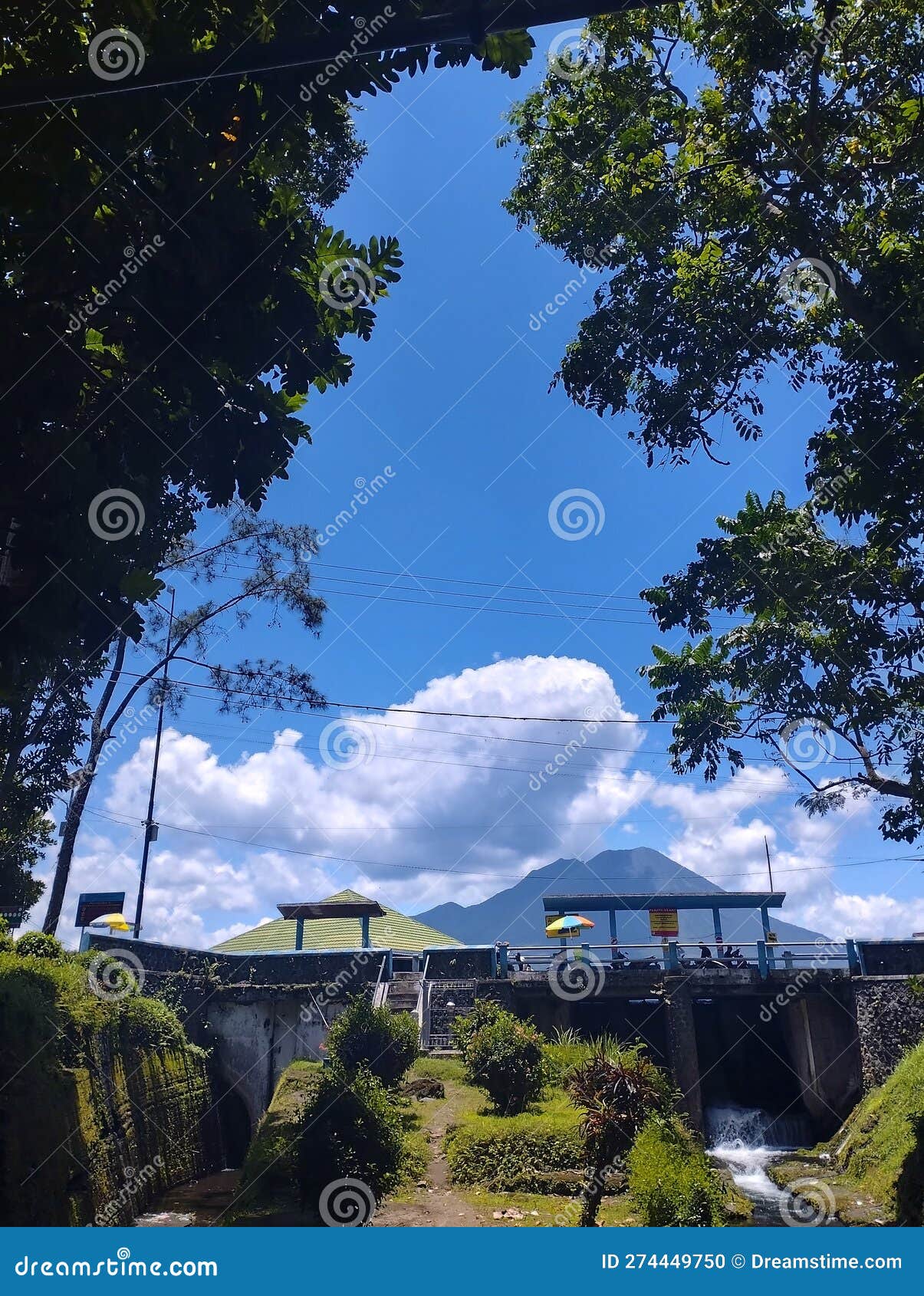 Beautiful Trees and Clouds with Mountains in the Distance Stock Photo ...