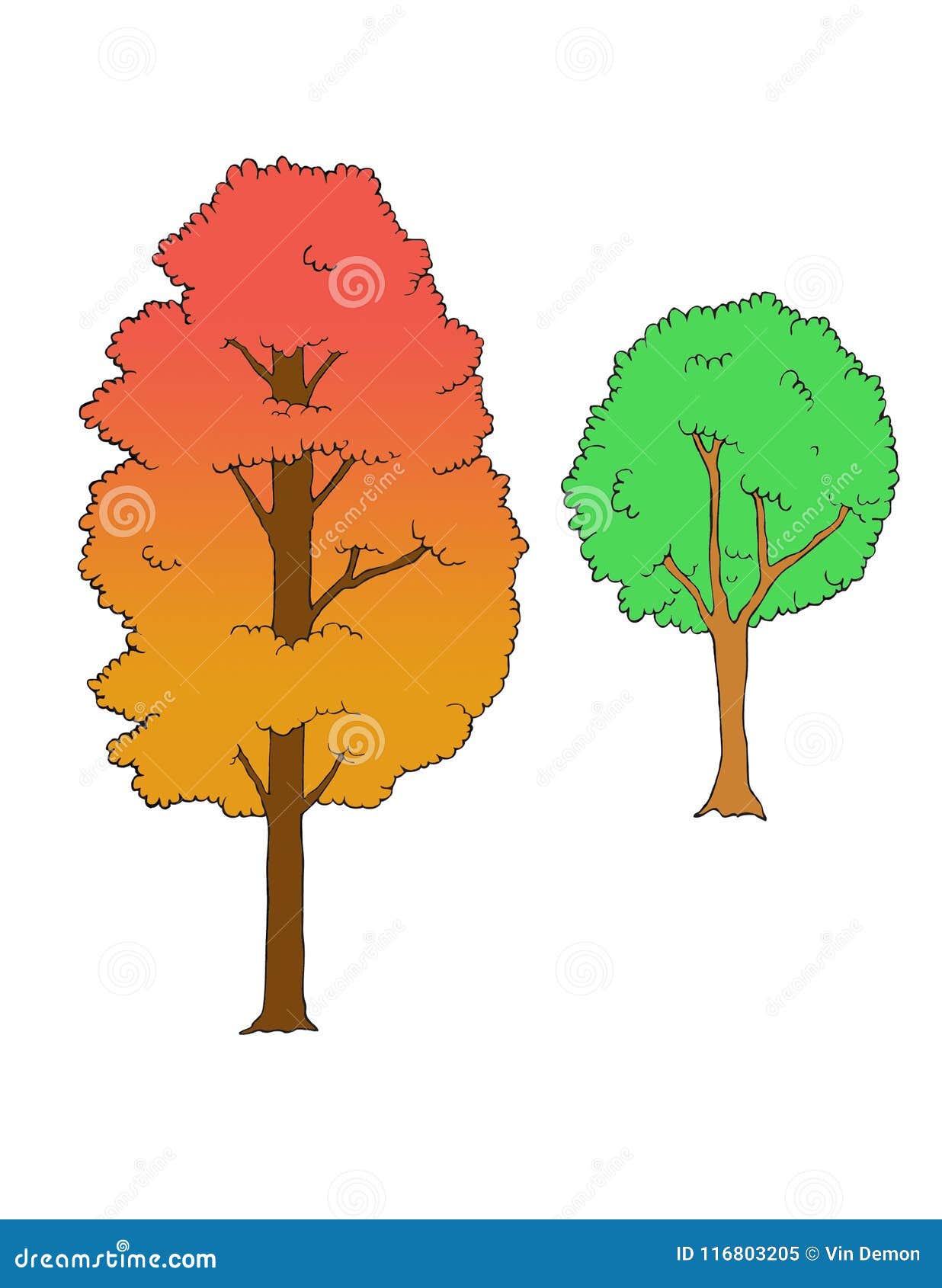 Beautiful Trees in Fall and Summer Leaves Stock Illustration ...