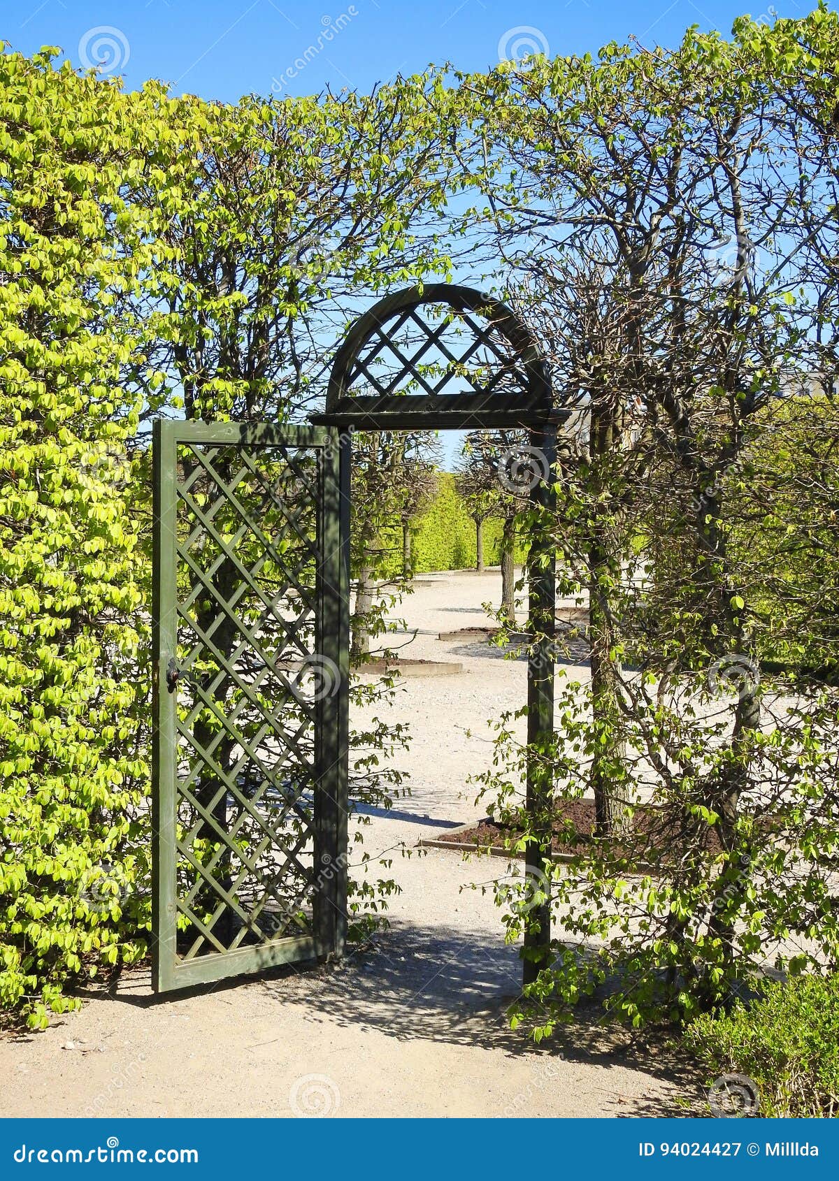 Beautiful trees and gate stock image. Image of view, park - 94024427