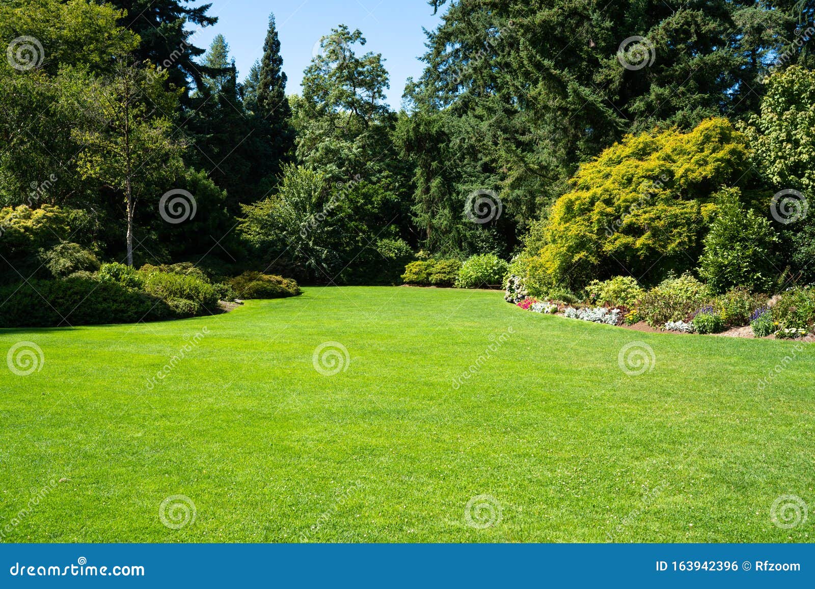 Beautiful Trees and Green Grass in the Garden Stock Photo - Image of ...