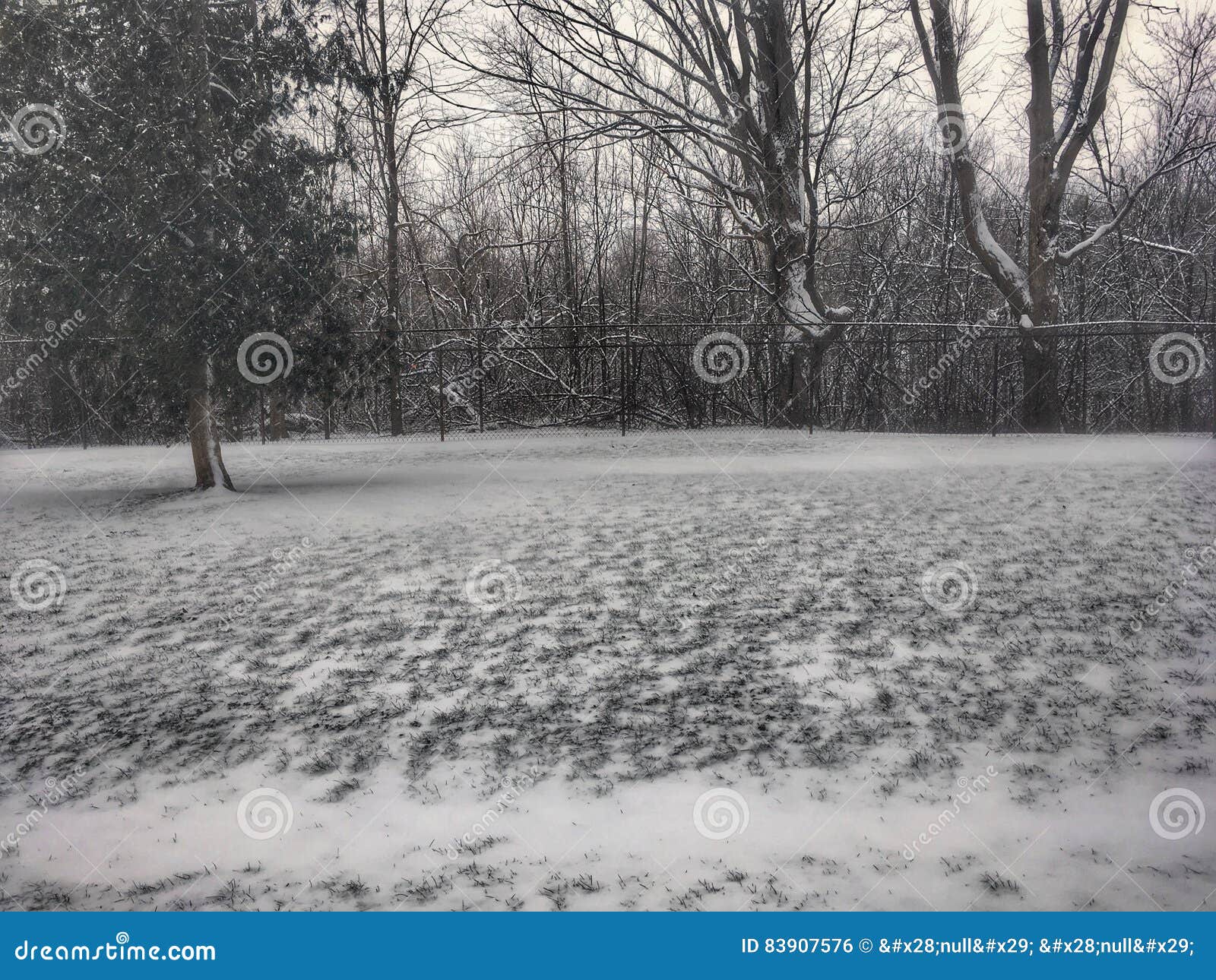 A Crisp Beautiful View Of A Lonely Rural Texas Road In A Big Texas ...
