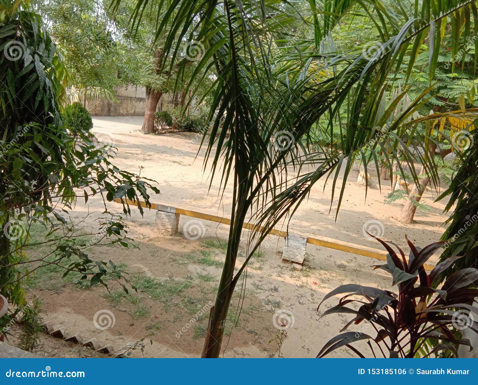 Beautiful Trees and Open Area in School Ground Stock Photo - Image of ...