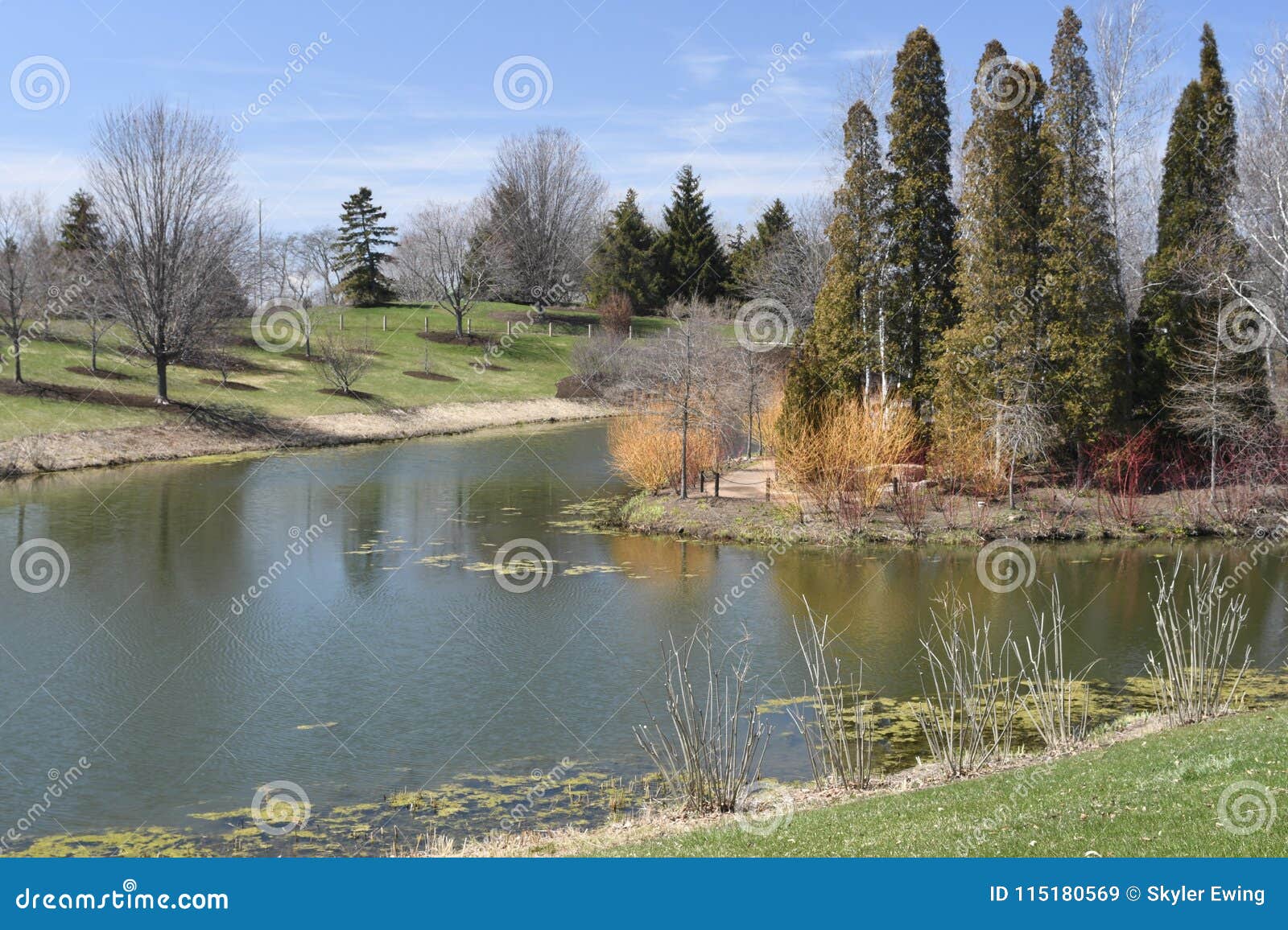 Beautiful Trees Reflection by a Lake Stock Image - Image of nature ...