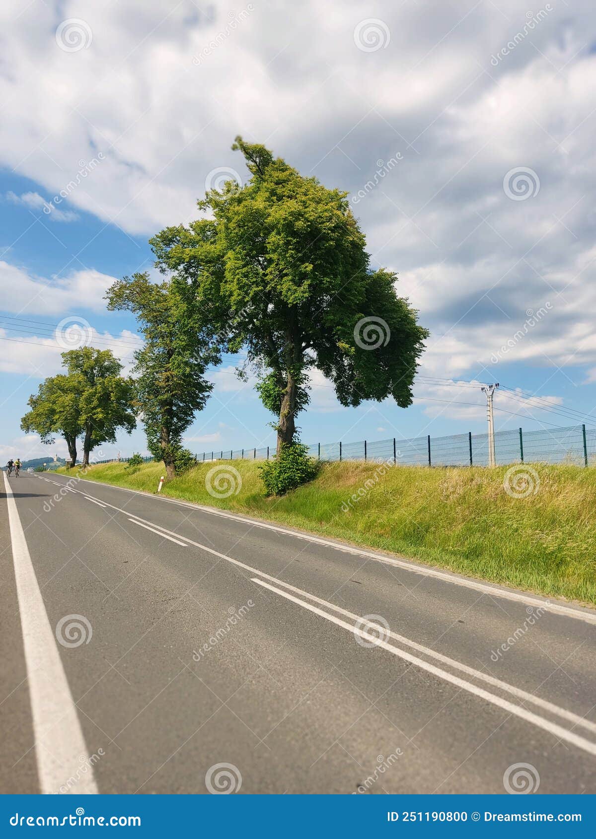 Beautiful Trees in Roadside Stock Photo - Image of trees, reflection ...