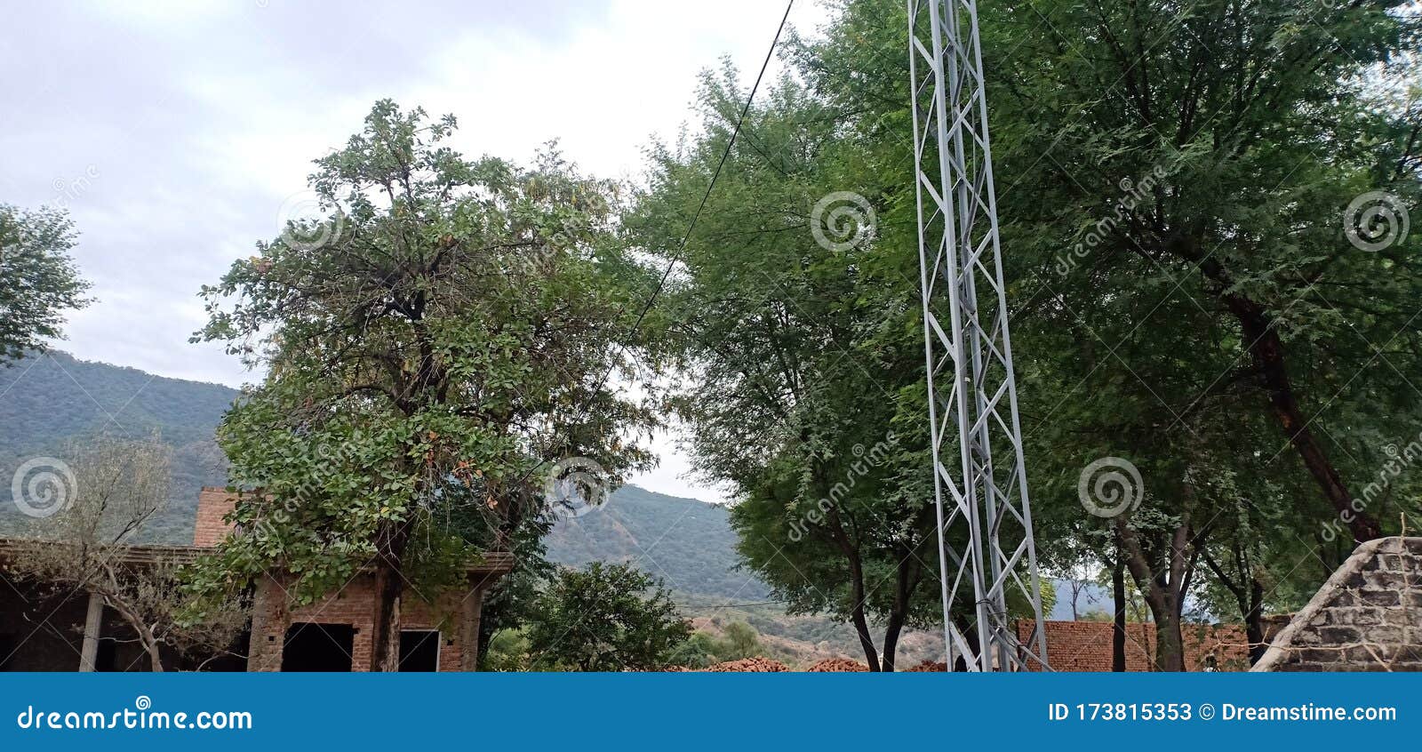 Beautiful Trees in Village Potha Stock Image - Image of trees, village ...