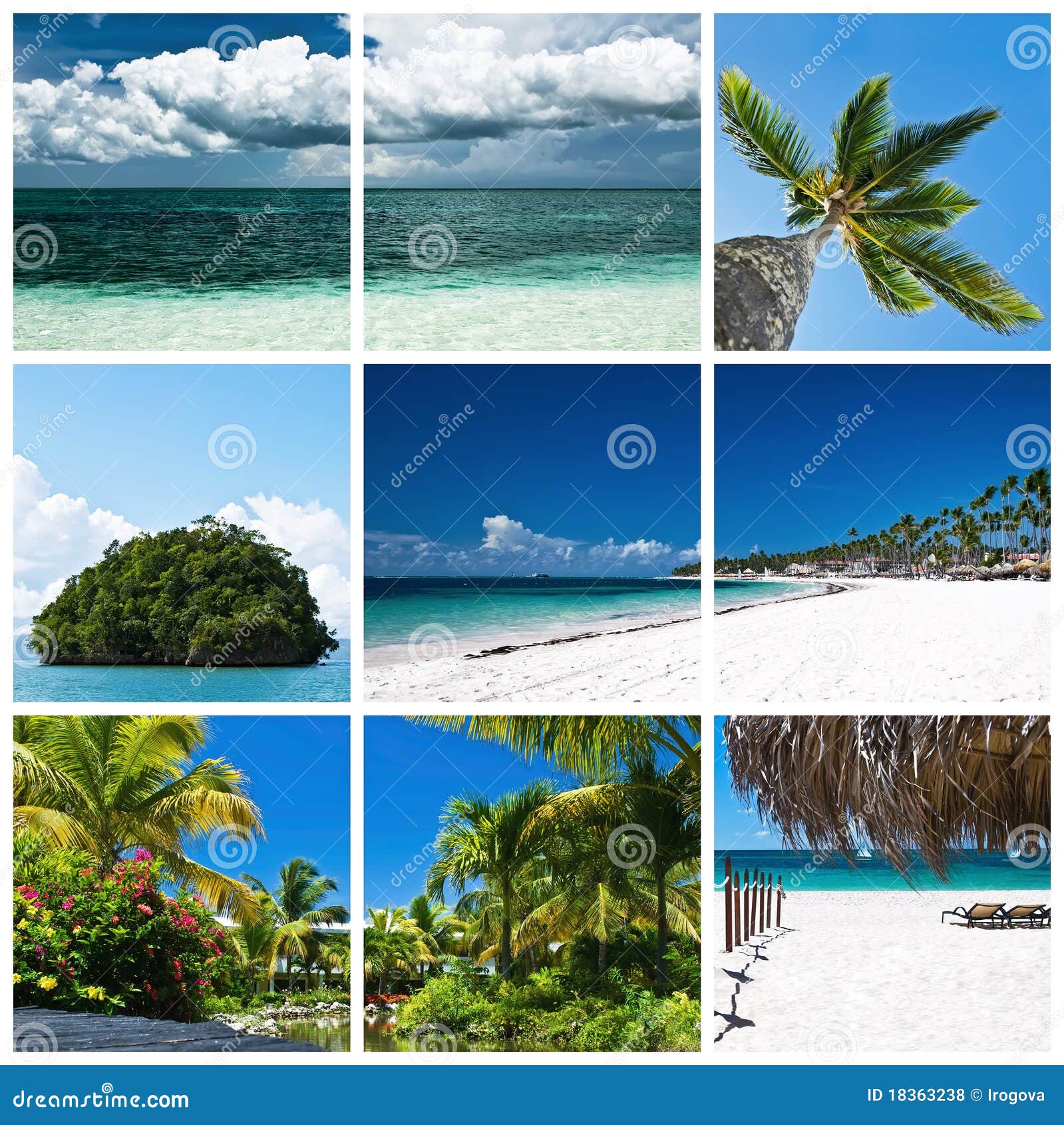Beautiful Tropic Lifestyle Collage Stock Photo - Image of collage ...